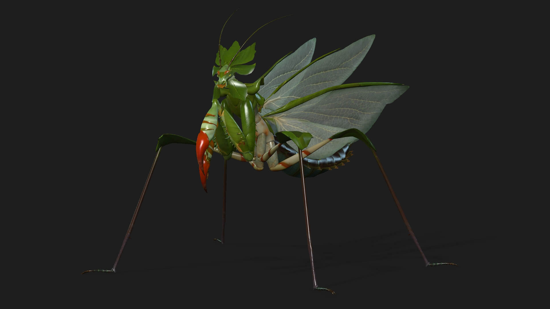 Mantis-A1-Animated 3D Model by Animated3d