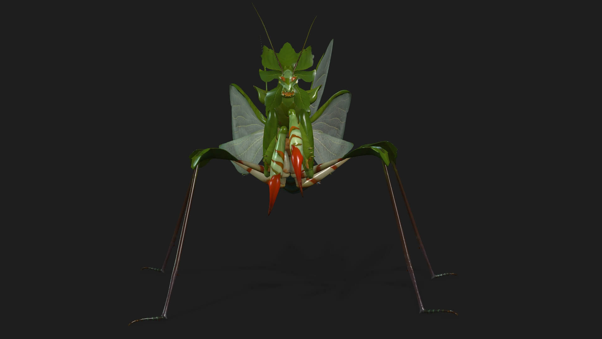 Mantis-A1-Animated 3D Model by Animated3d