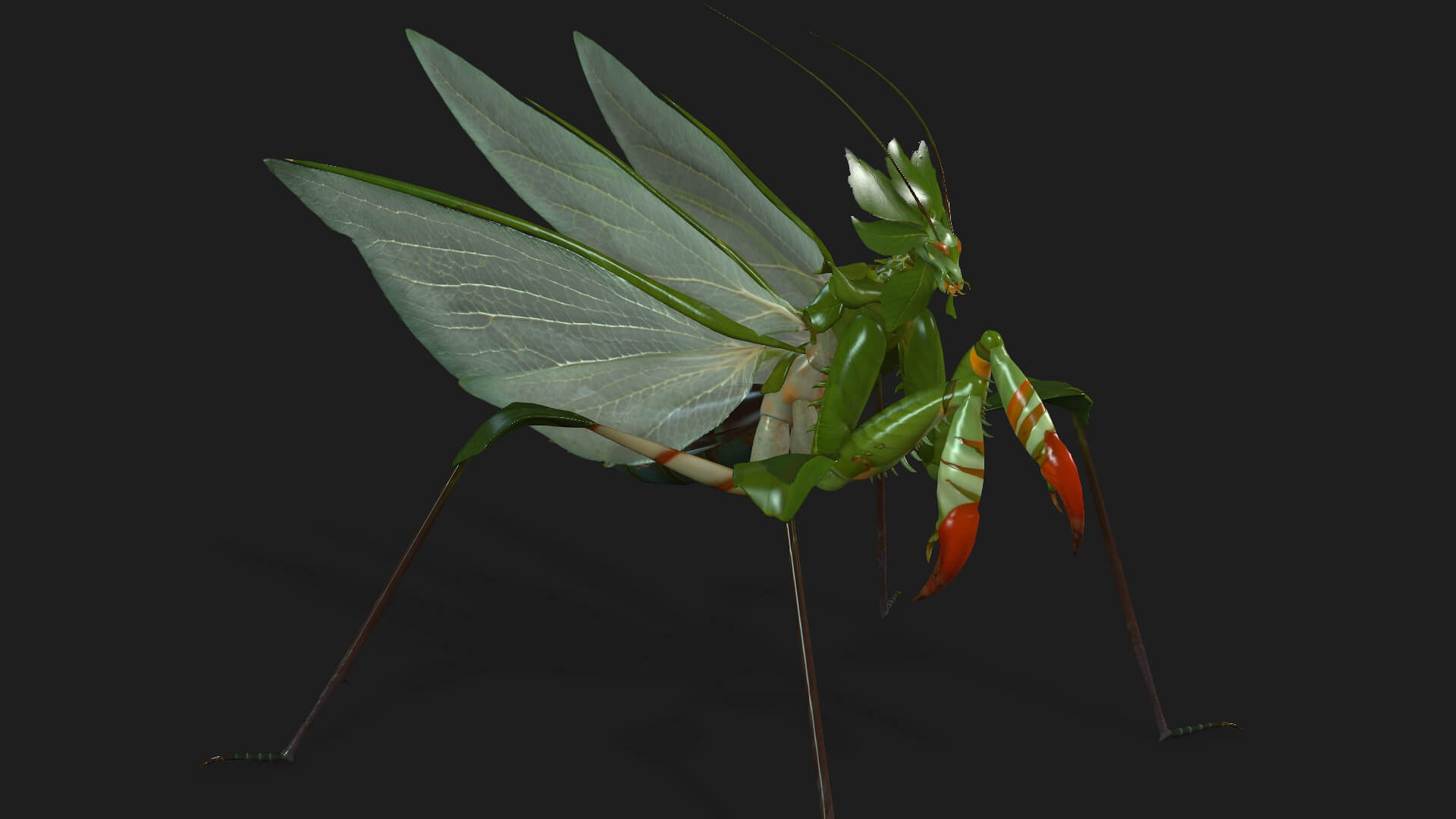 Mantis-A1-Animated 3D Model by Animated3d