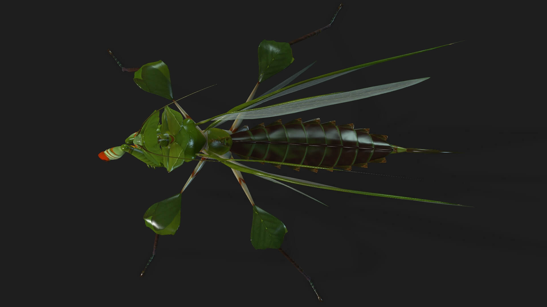 Mantis-A1-Animated 3D Model by Animated3d