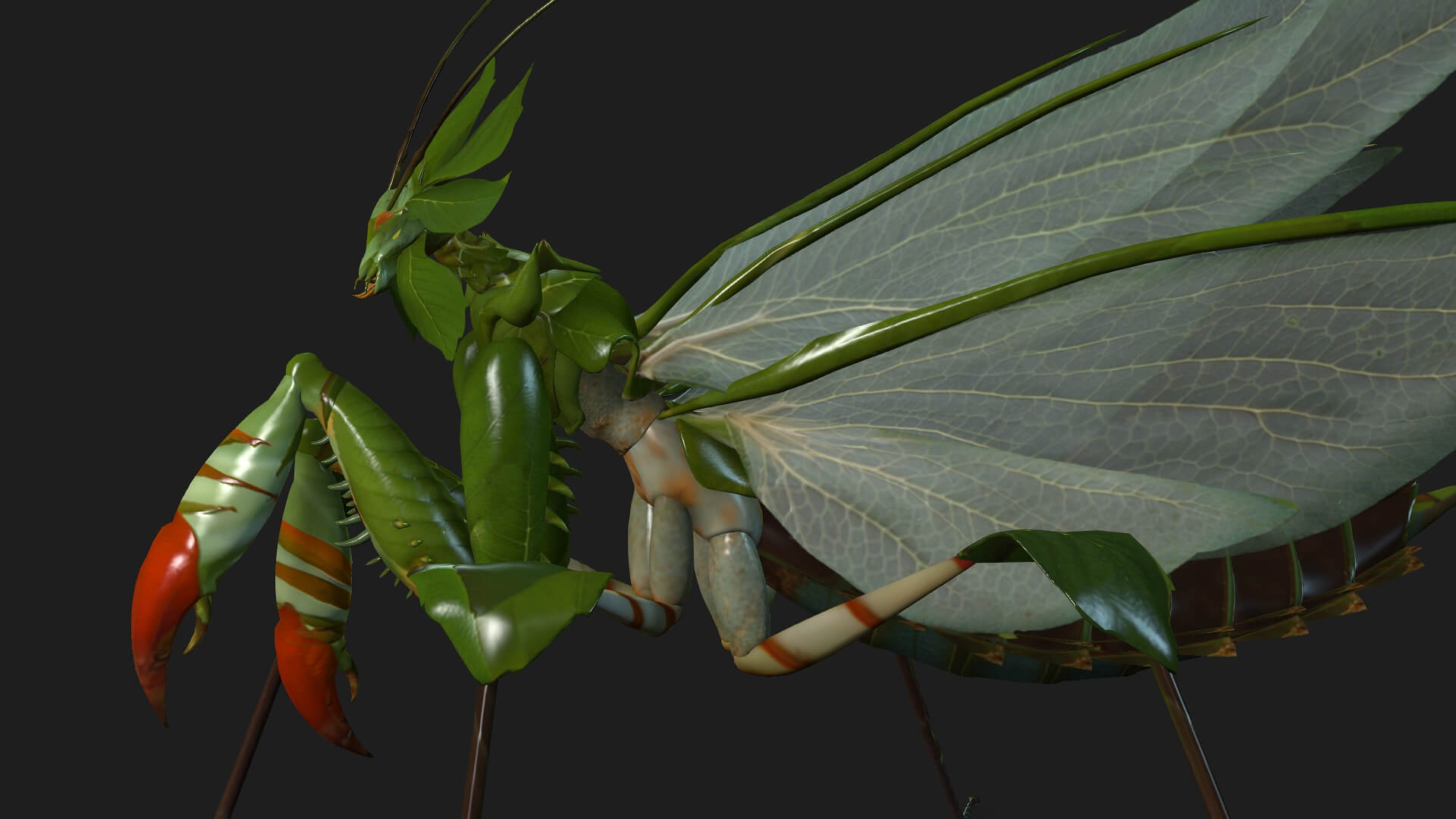 Mantis-A1-Animated 3D Model by Animated3d