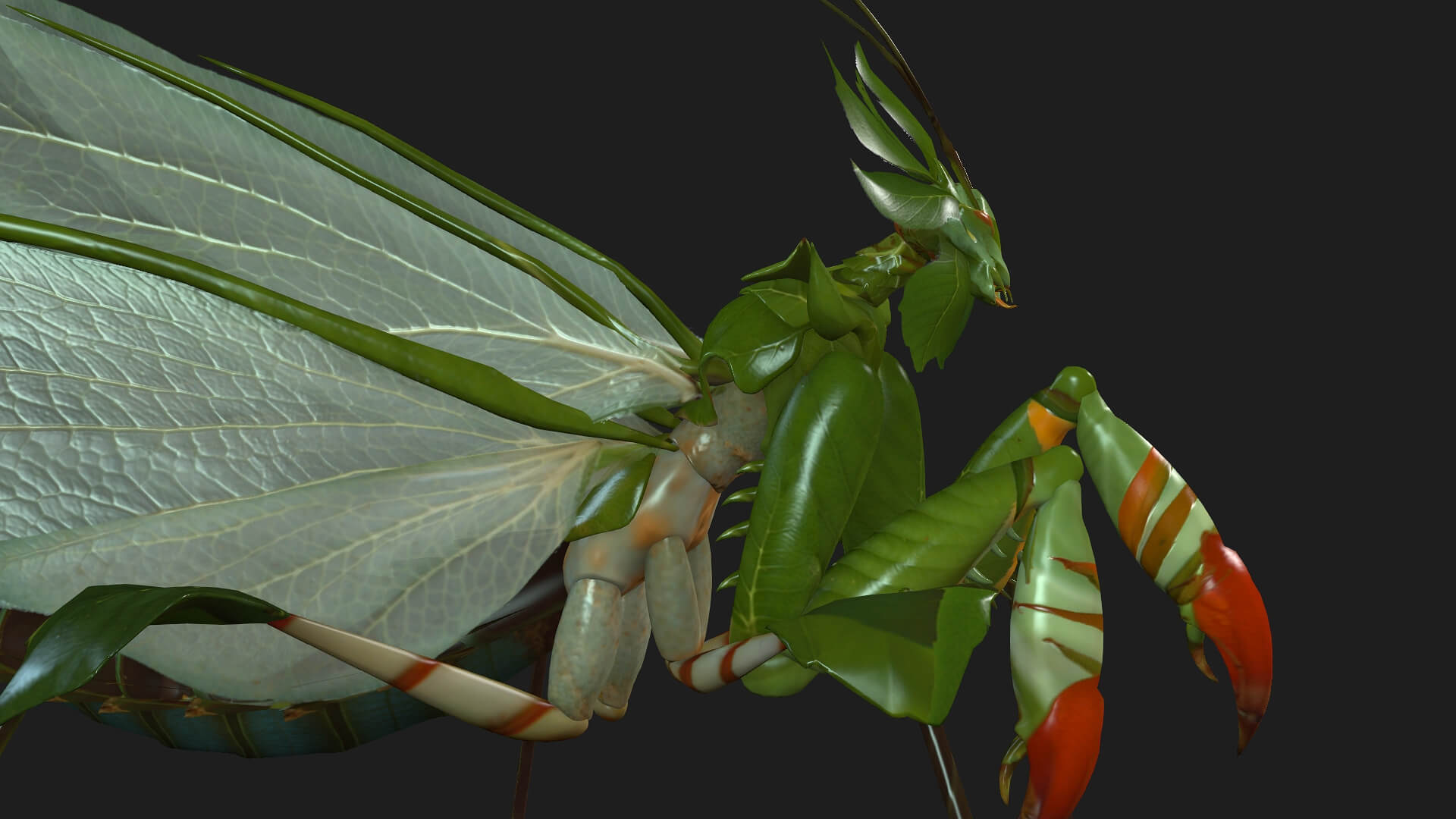 Mantis-A1-Animated 3D Model by Animated3d