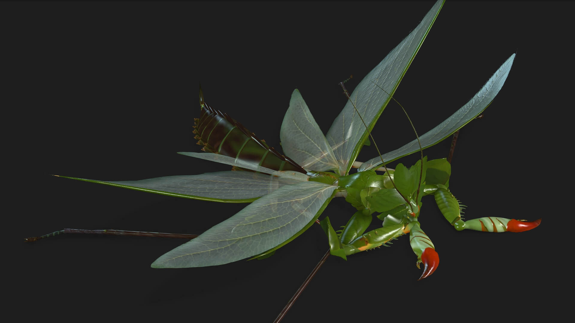 Mantis-A1-Animated 3D Model by Animated3d