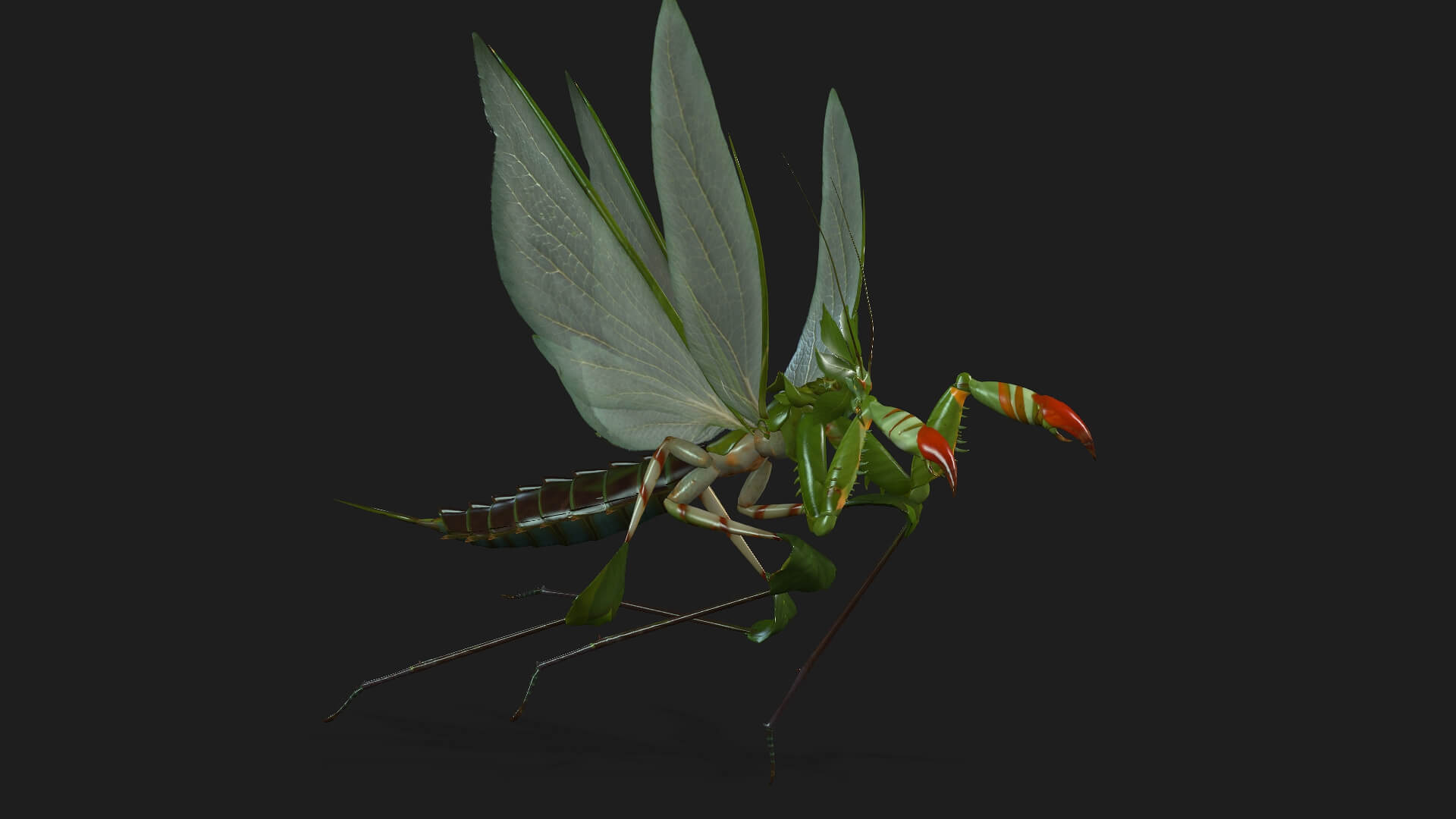 Mantis-A1-Animated 3D Model by Animated3d