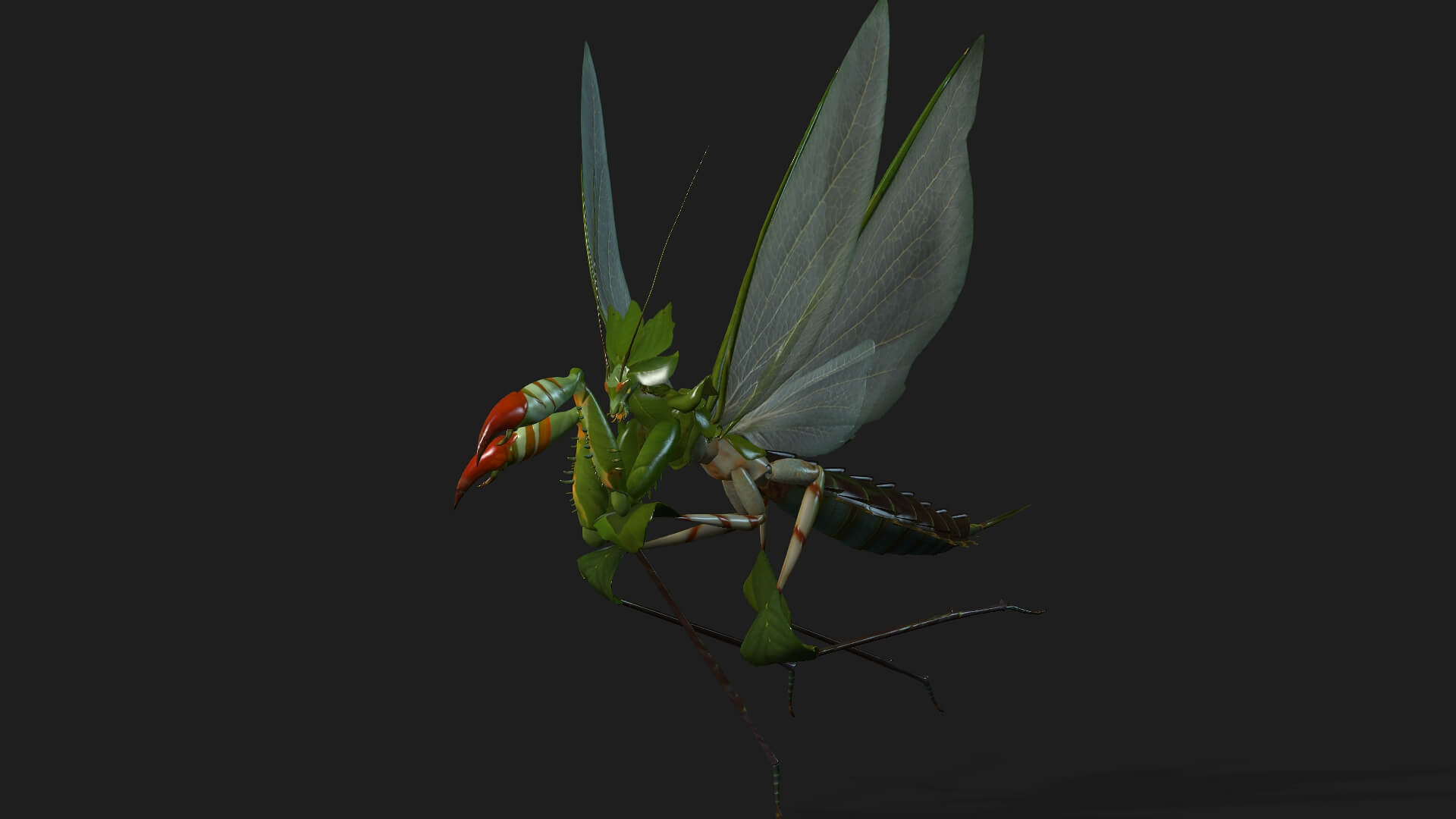 Mantis-A1-Animated 3D Model by Animated3d