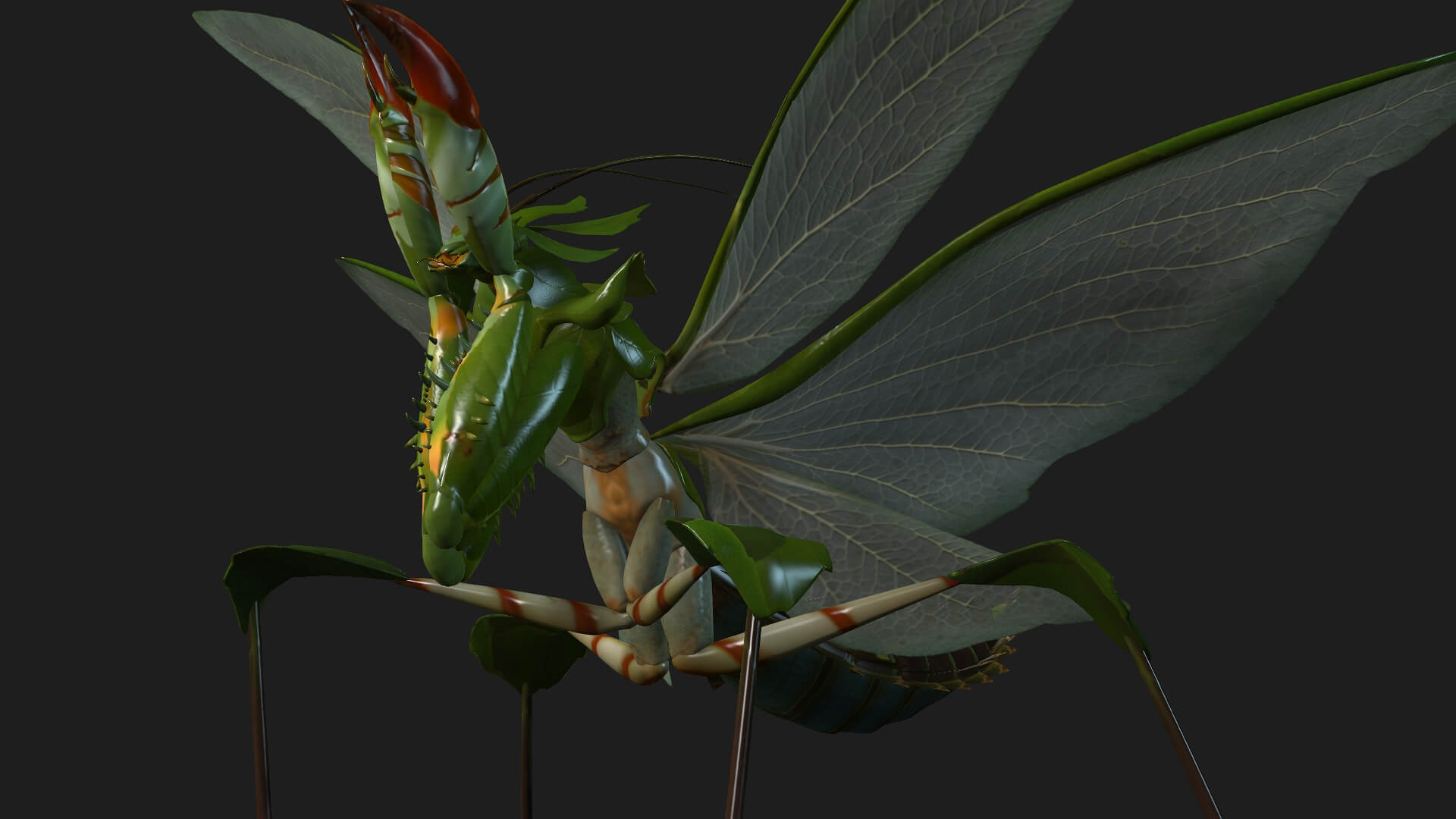 Mantis-A1-Animated 3D Model by Animated3d