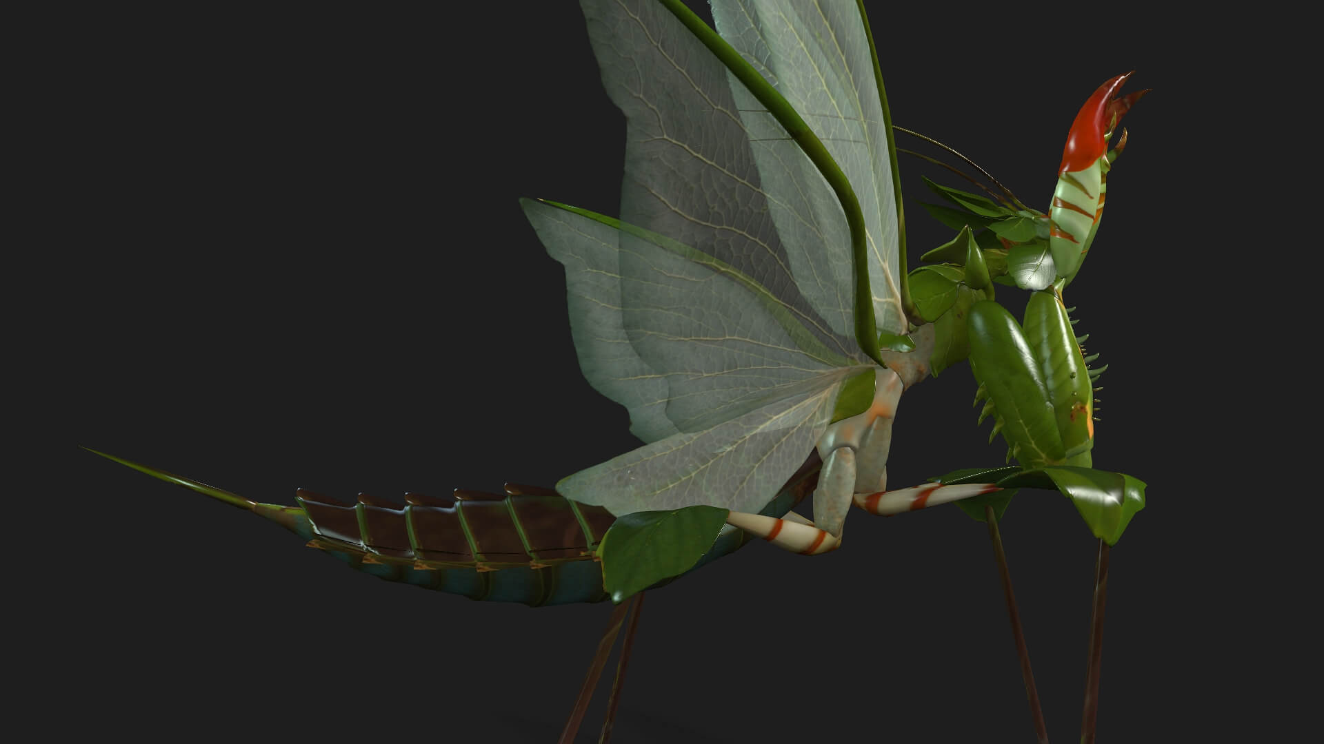 Mantis-A1-Animated 3D Model by Animated3d