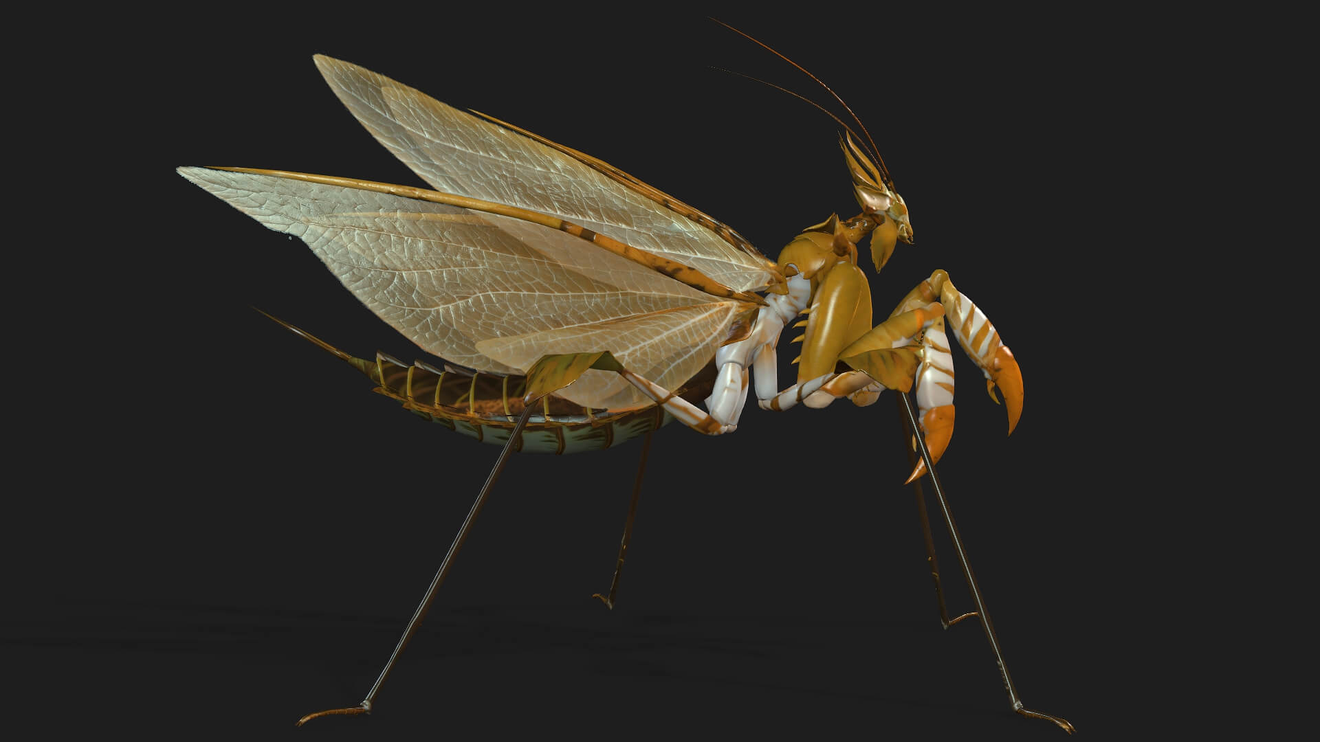 Mantis-A2-Animated 3D Model by Animated3d