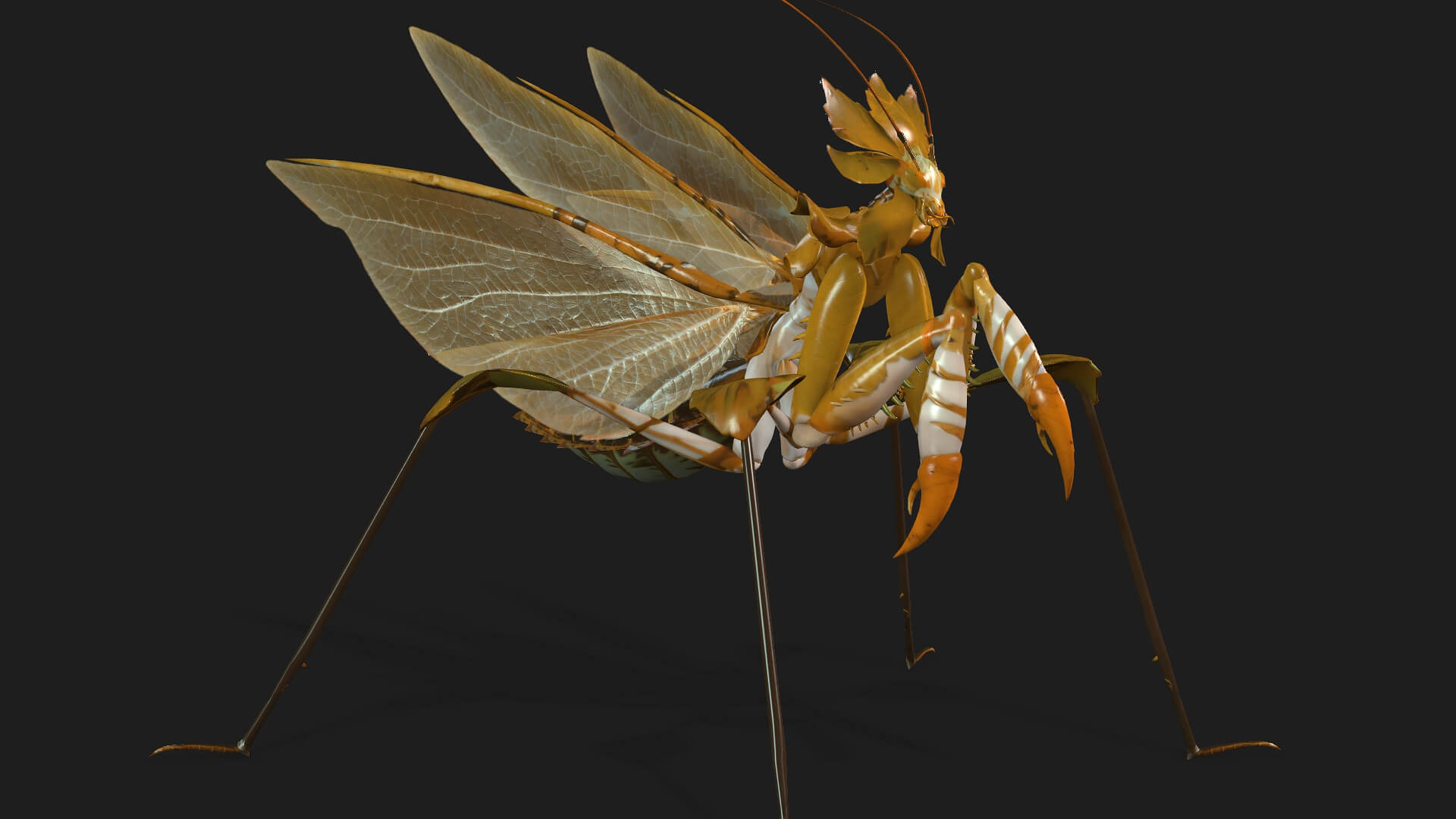Mantis-A2-Animated 3D Model by Animated3d