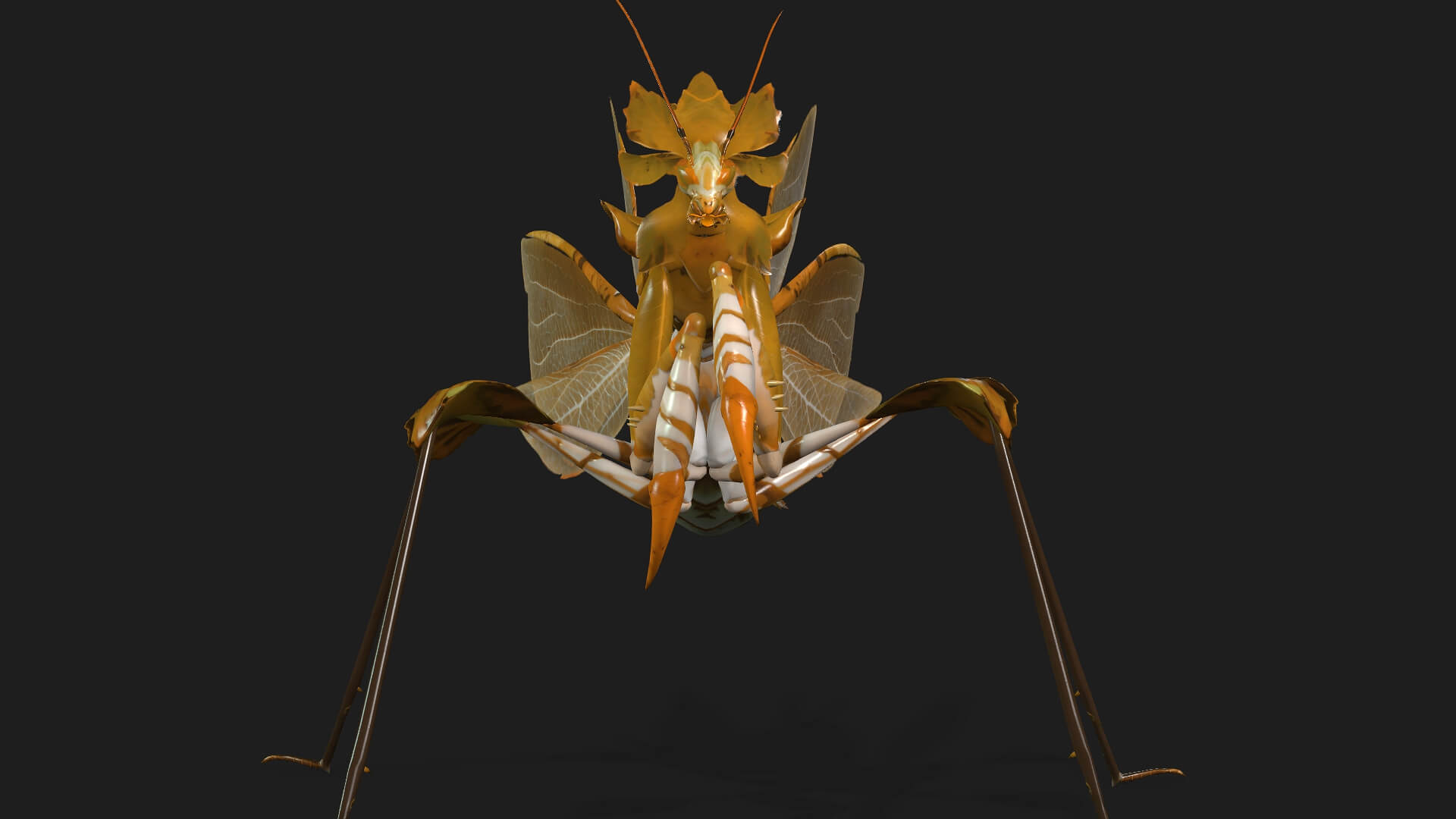 Mantis-A2-Animated 3D Model by Animated3d