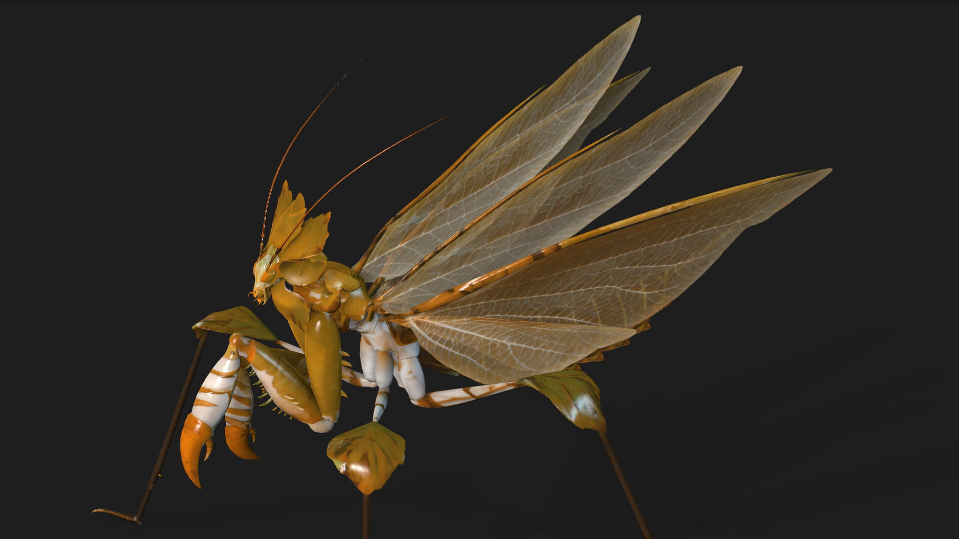 Mantis-A2-Animated 3D Model by Animated3d