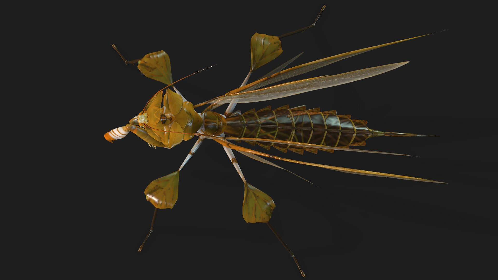 Mantis-A2-Animated 3D Model by Animated3d