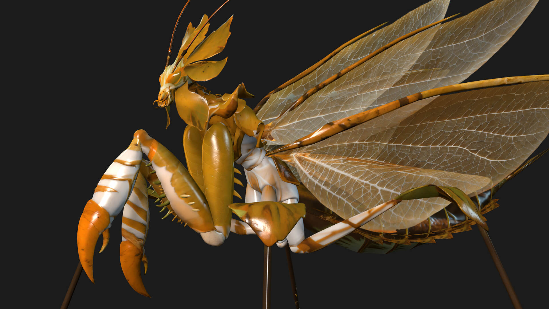 Mantis-A2-Animated 3D Model by Animated3d