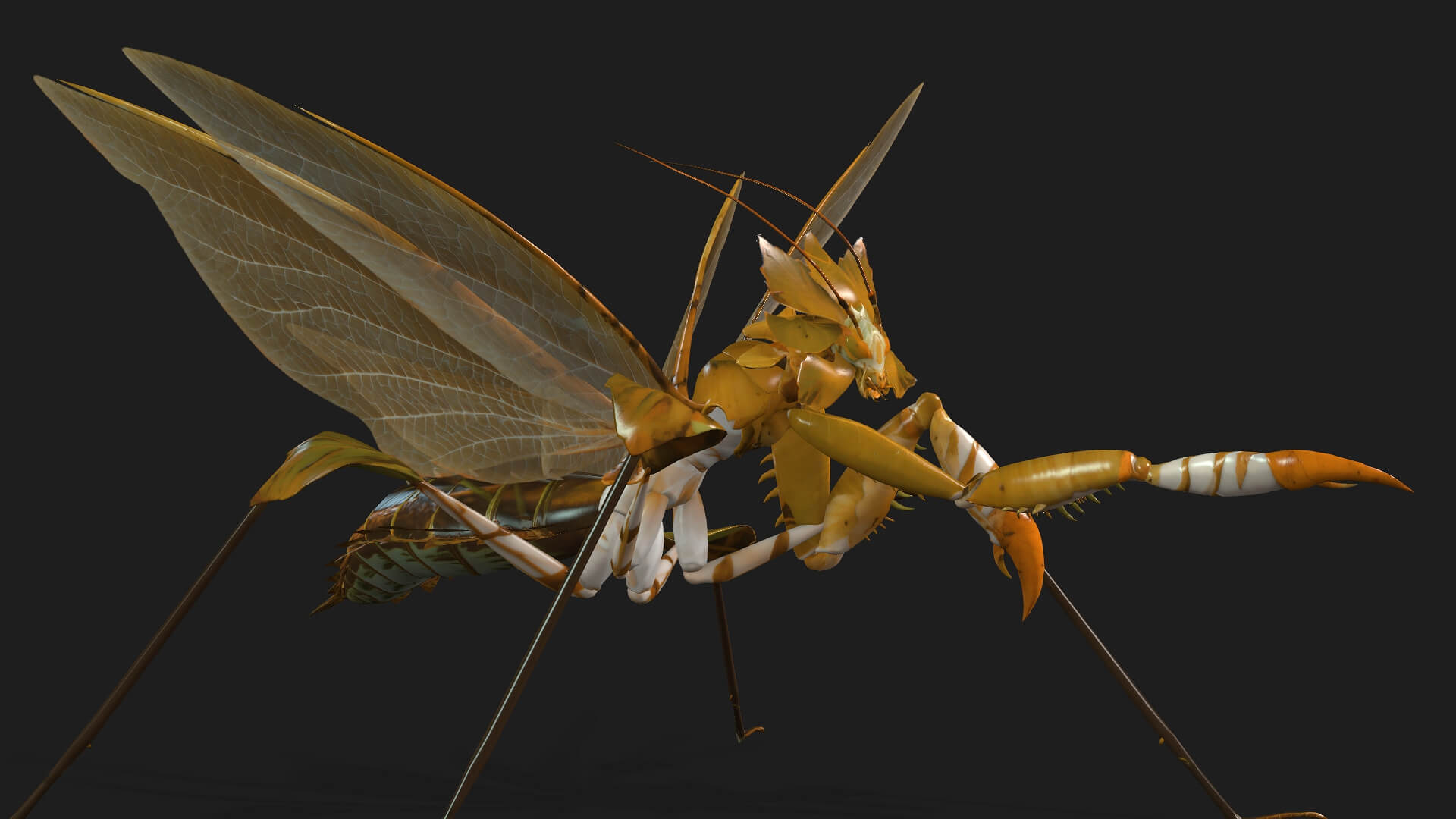 Mantis-A2-Animated 3D Model by Animated3d