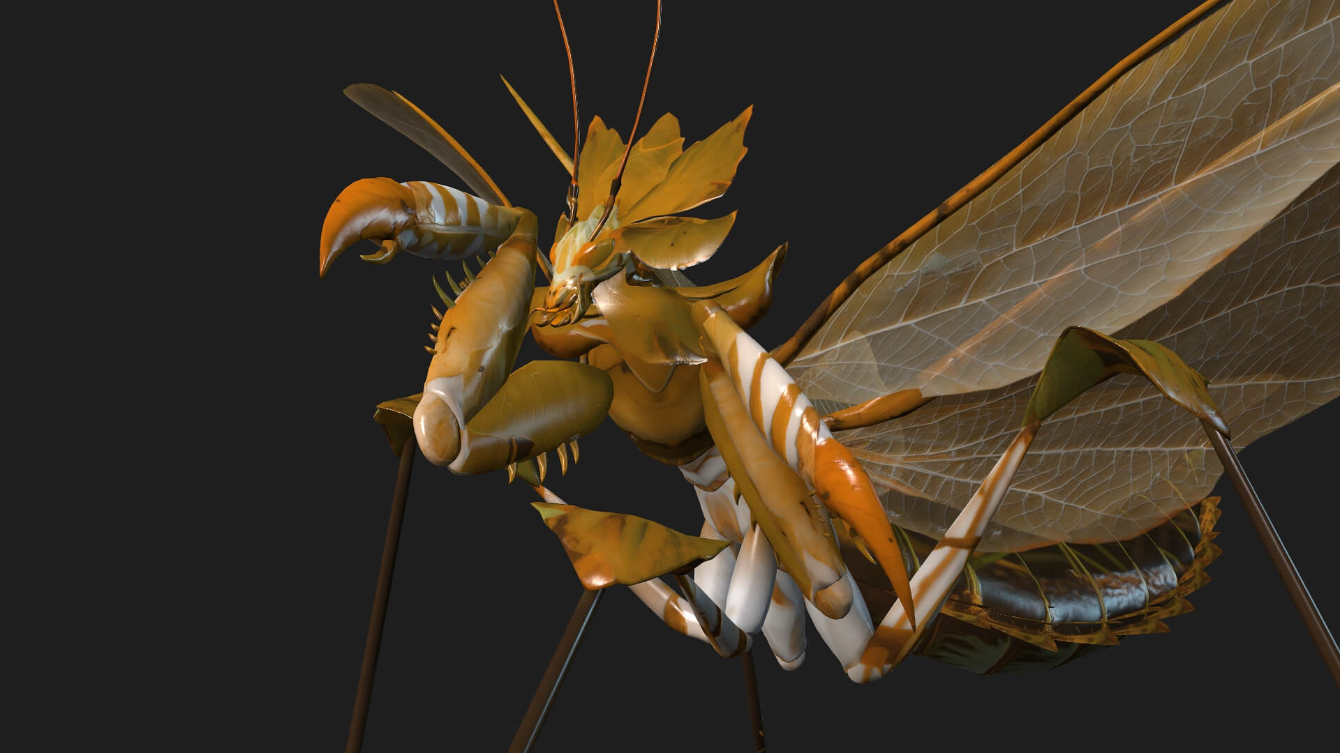 Mantis-A2-Animated 3D Model by Animated3d