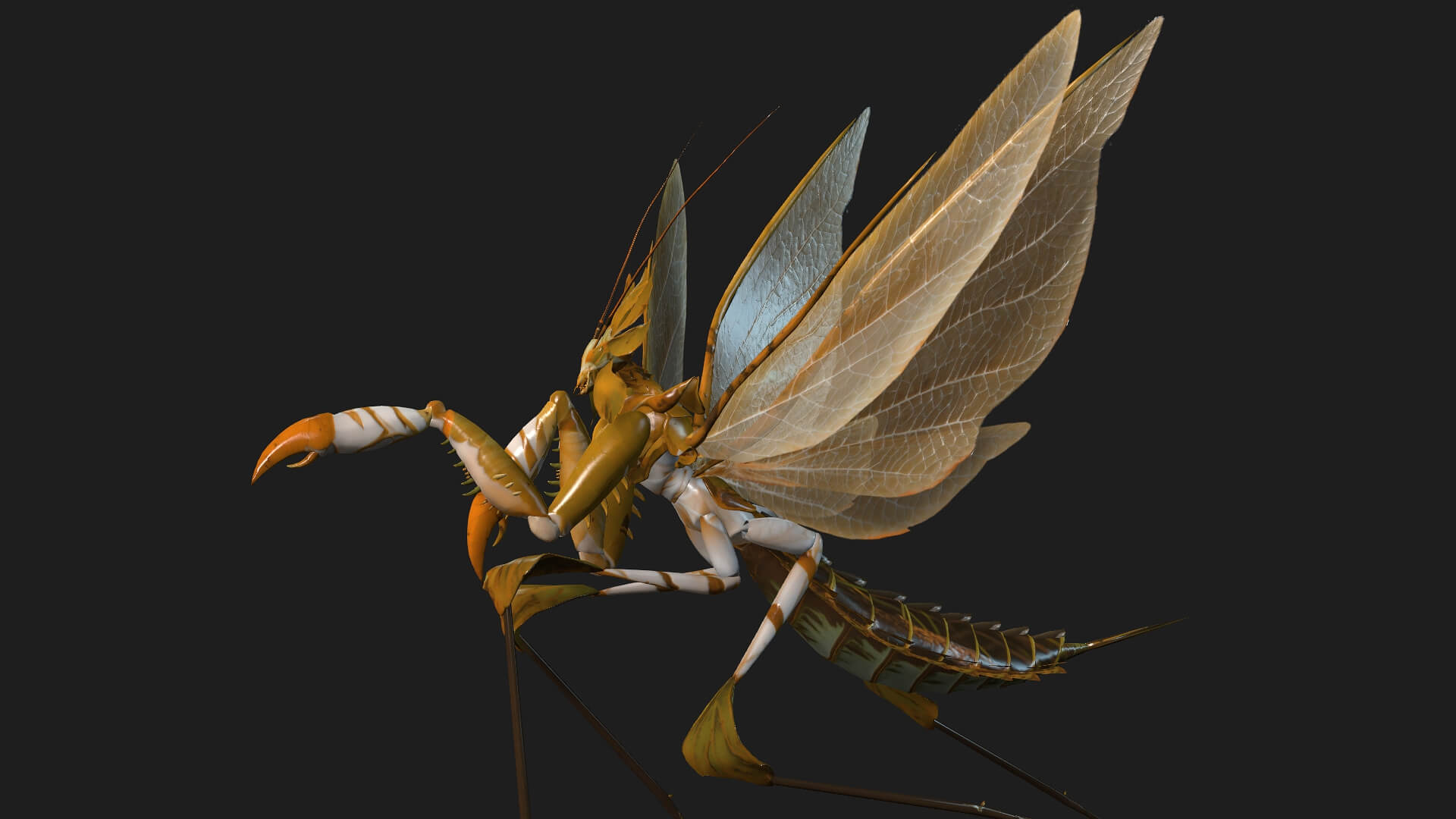 Mantis-A2-Animated 3D Model by Animated3d
