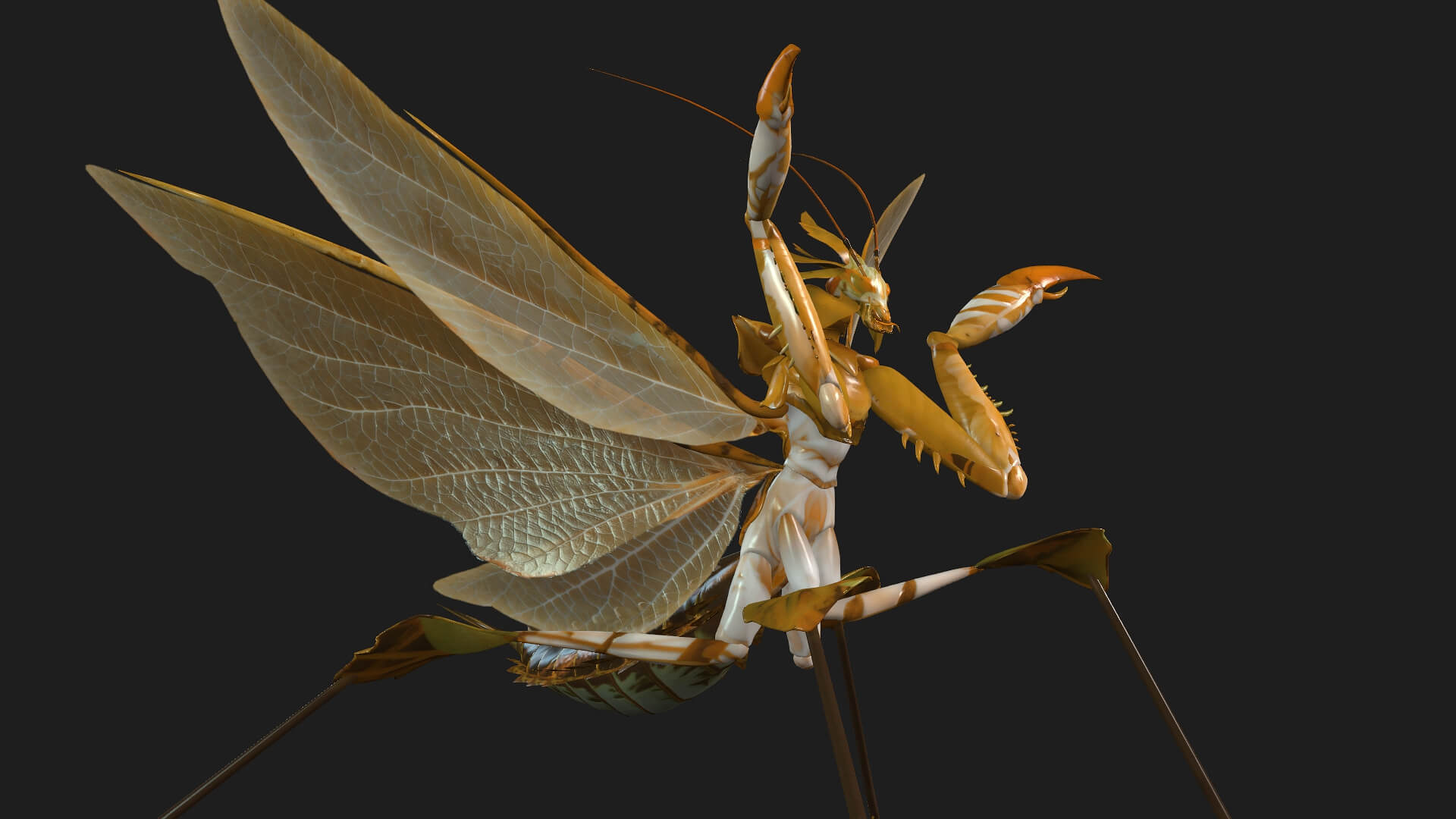 Mantis-A2-Animated 3D Model by Animated3d