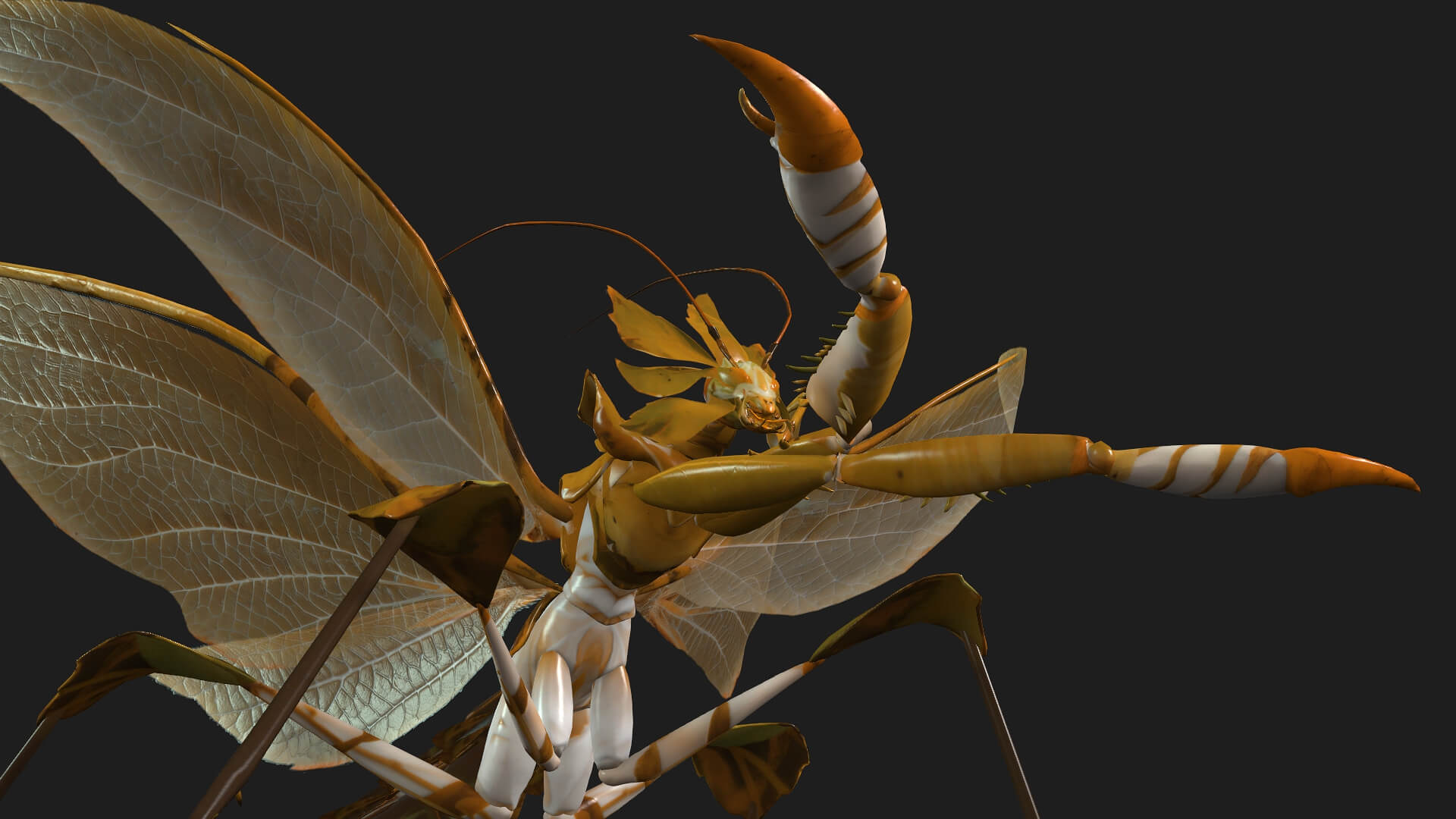 Mantis-A2-Animated 3D Model by Animated3d
