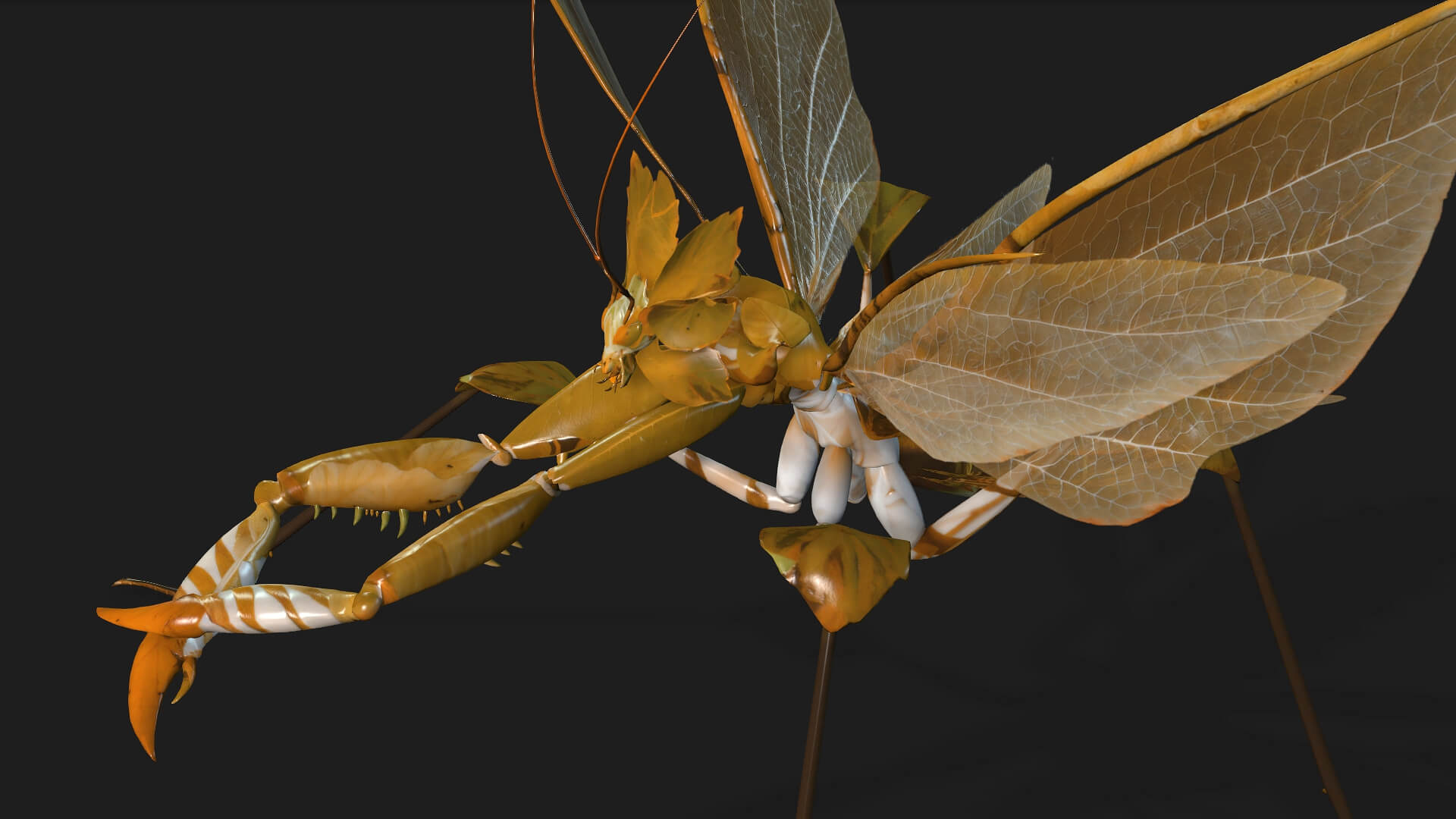 Mantis-A2-Animated 3D Model by Animated3d