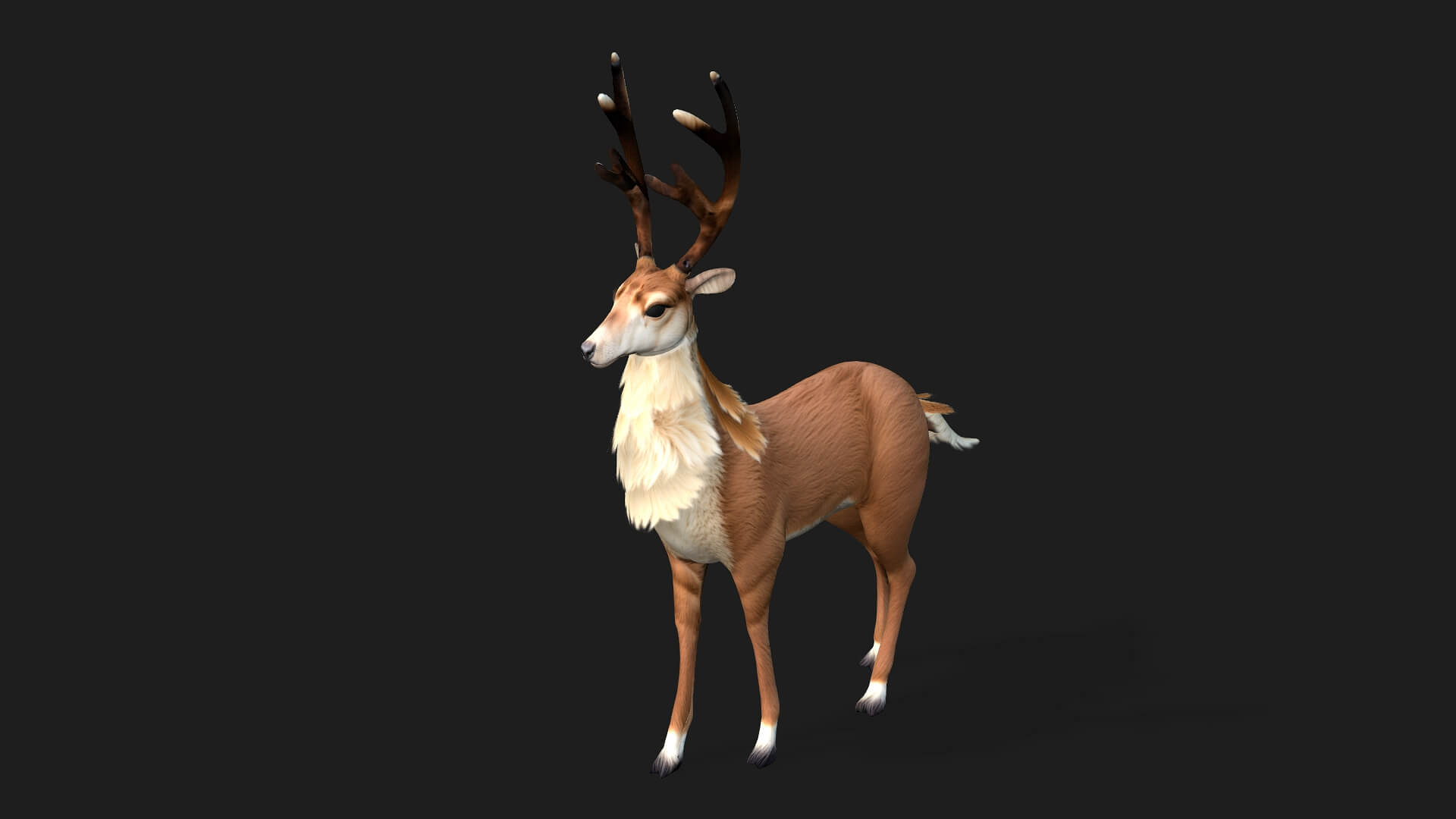 Moose A1 Animated - 3D Model by Animated3d