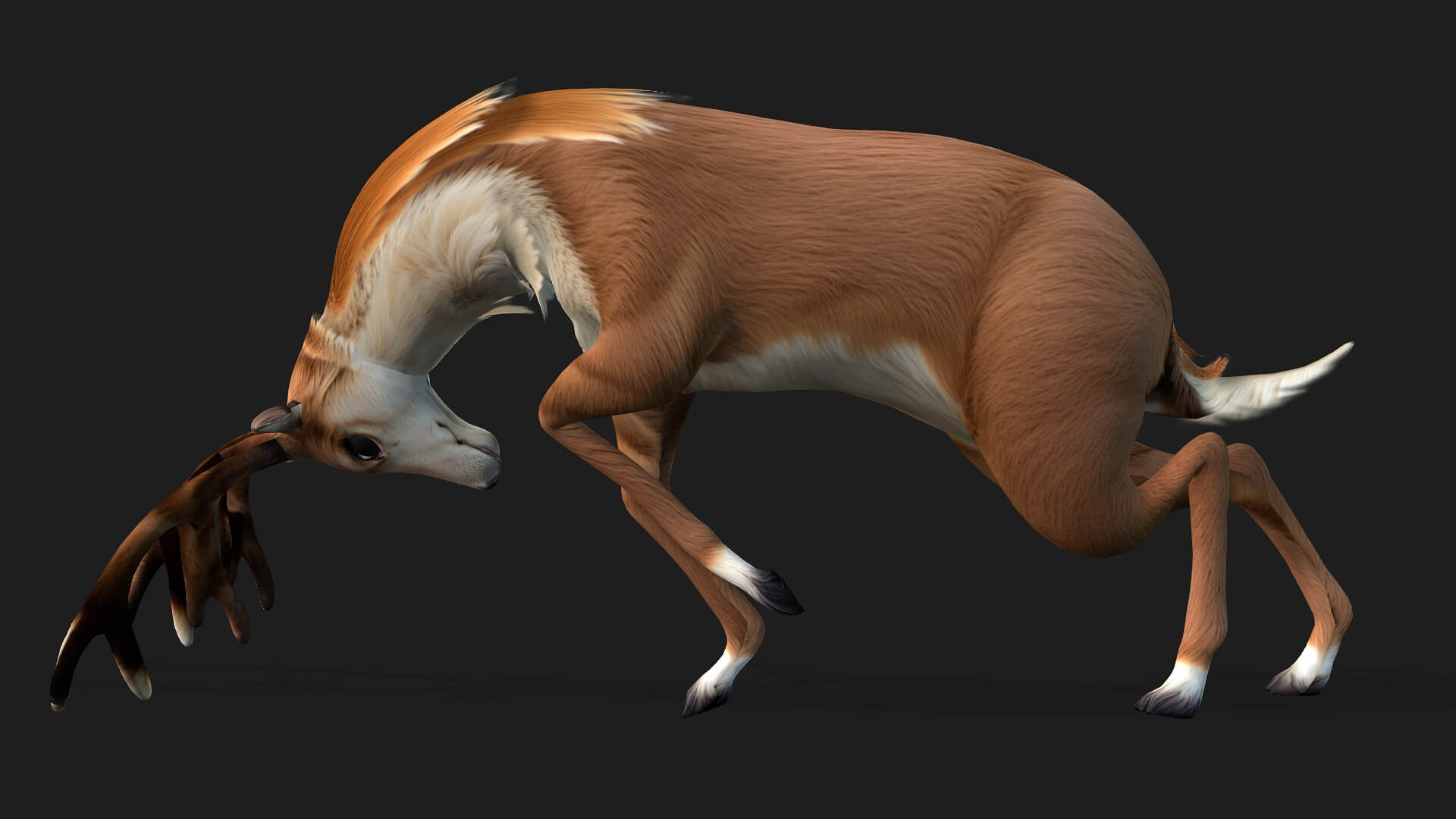 Moose A1 Animated - 3D Model by Animated3d