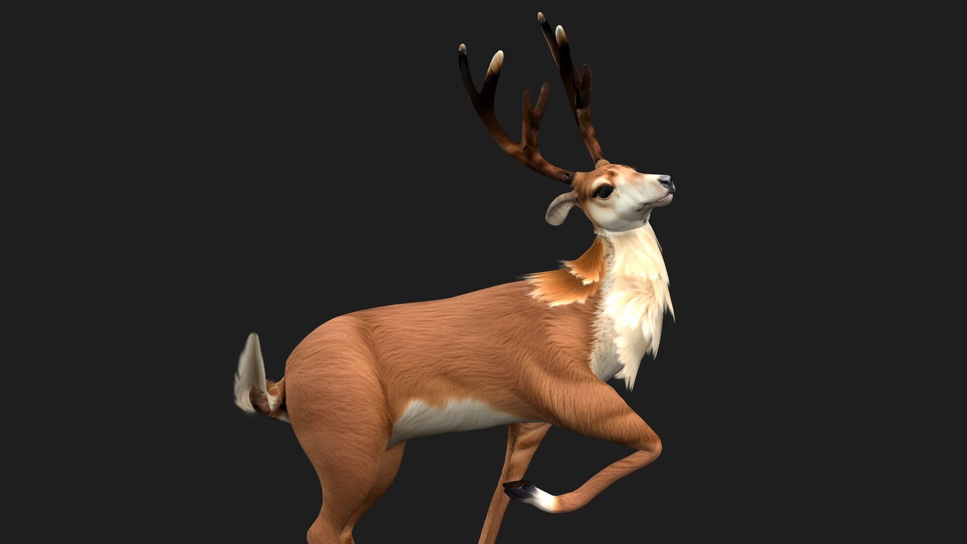 Moose A1 Animated - 3D Model by Animated3d