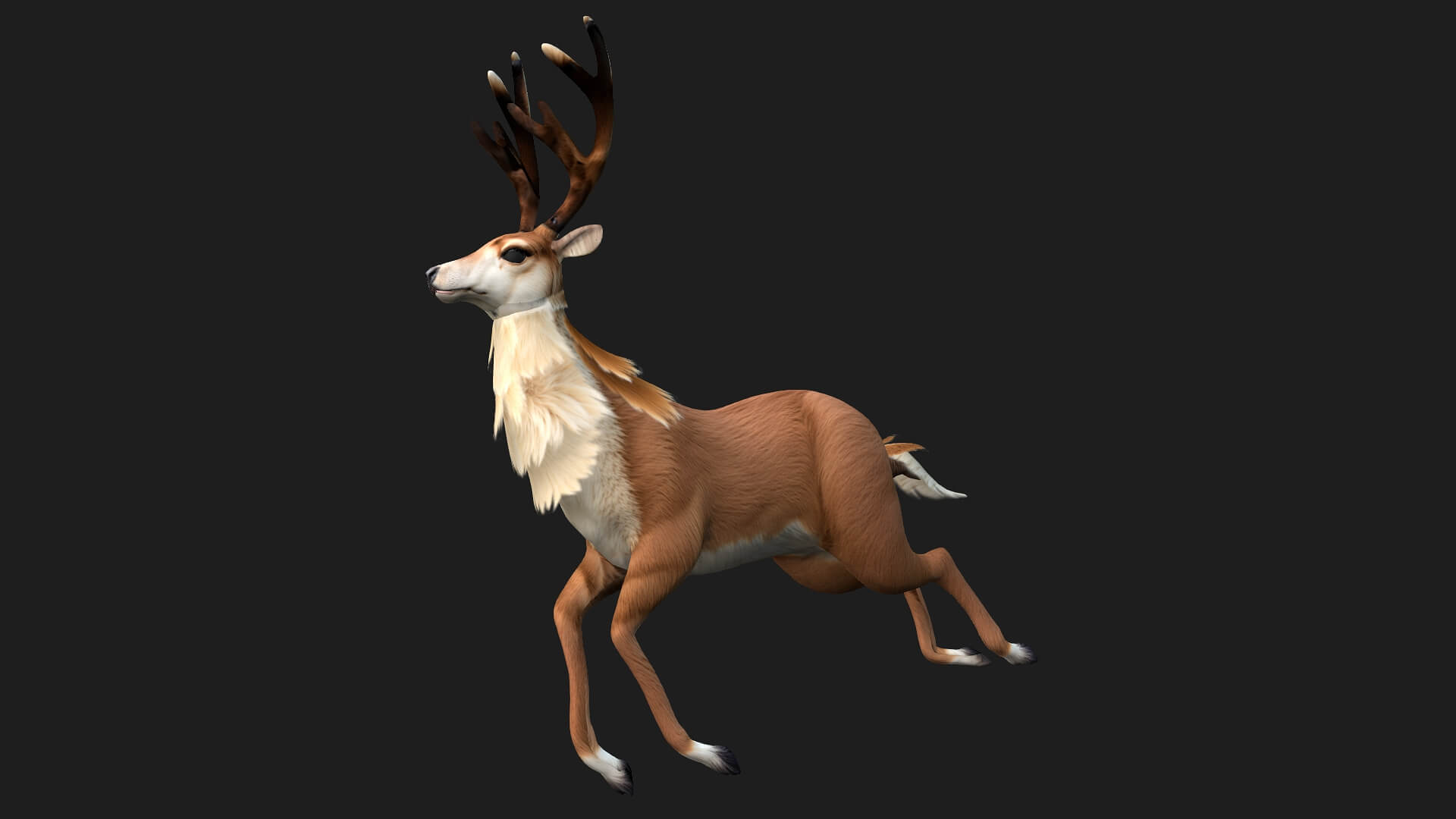 Moose A1 Animated - 3D Model by Animated3d