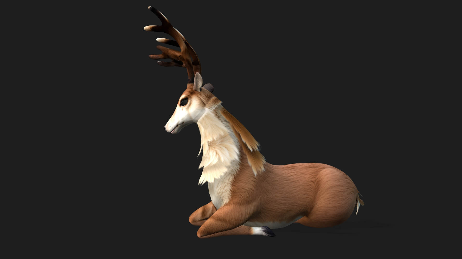 Moose A1 Animated - 3D Model by Animated3d