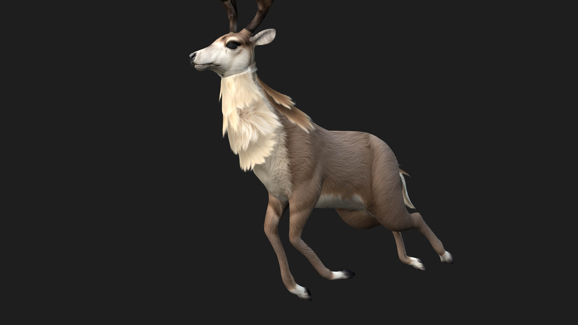 Moose A2 Animated - 3D Model by Animated3d