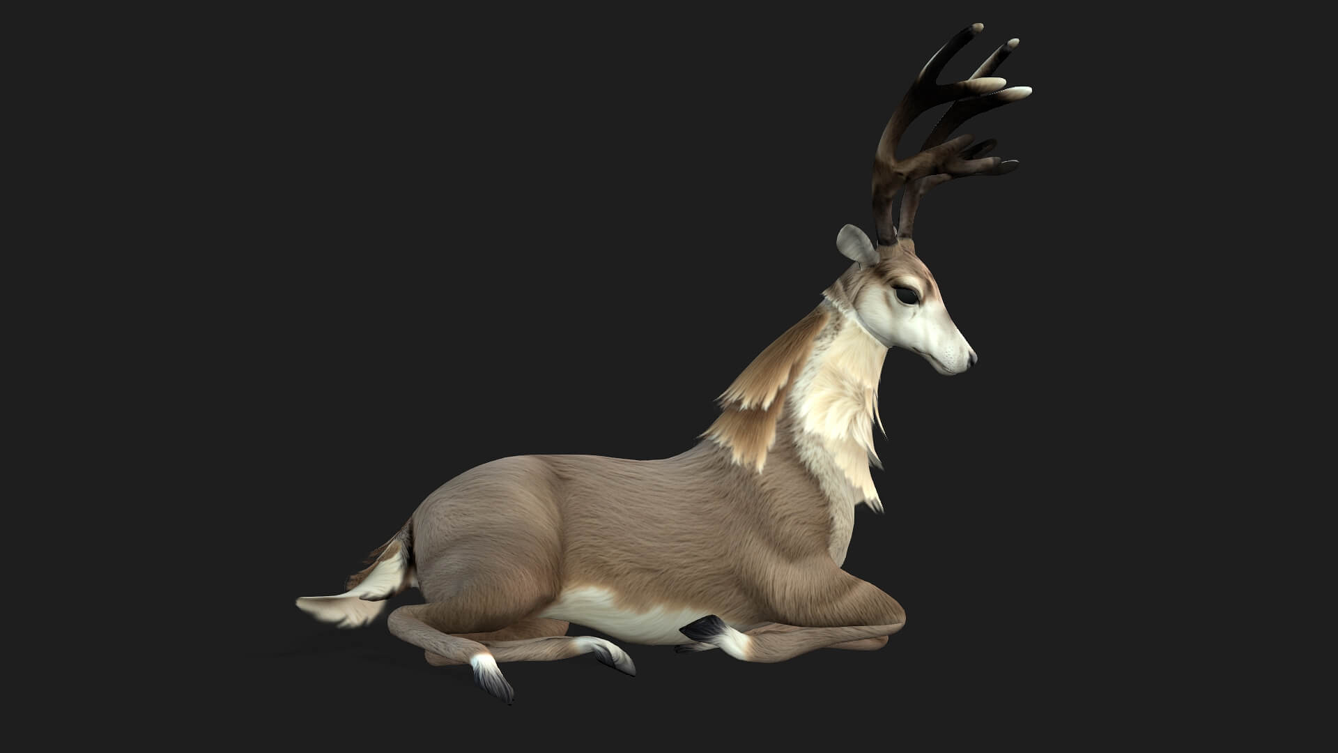 Moose A2 Animated - 3D Model by Animated3d