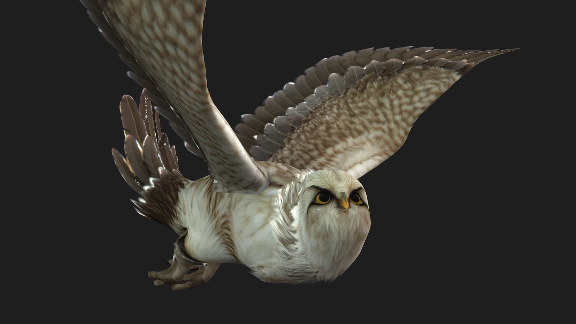 Owlbird A1 Animated - 3D Model by Animated3d