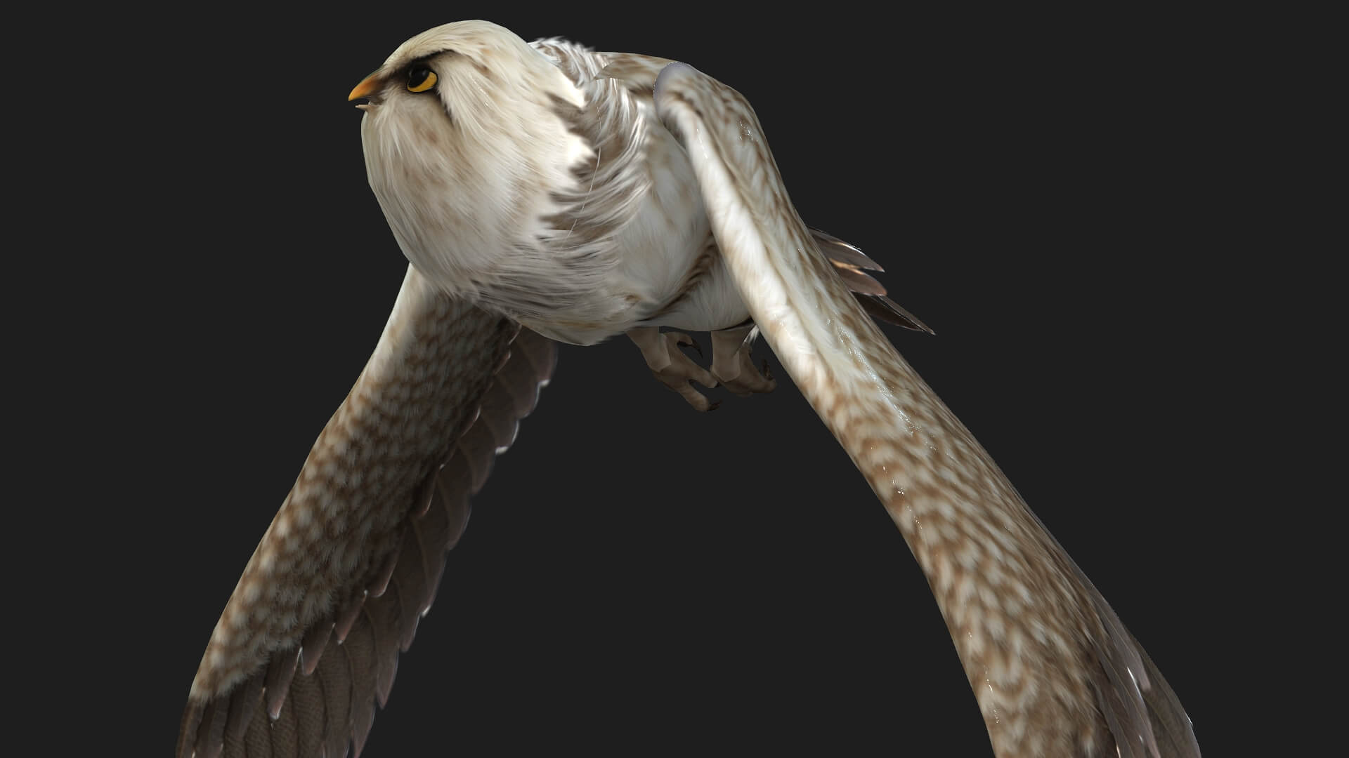 Owlbird A1 Animated - 3D Model by Animated3d