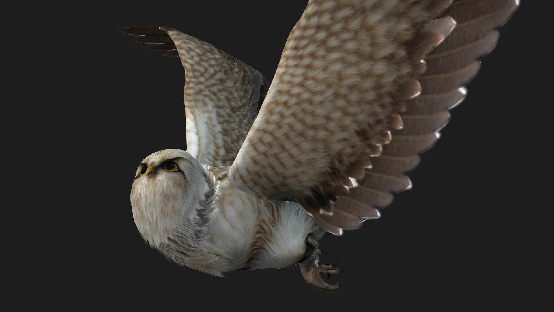 Owlbird A1 Animated - 3D Model by Animated3d