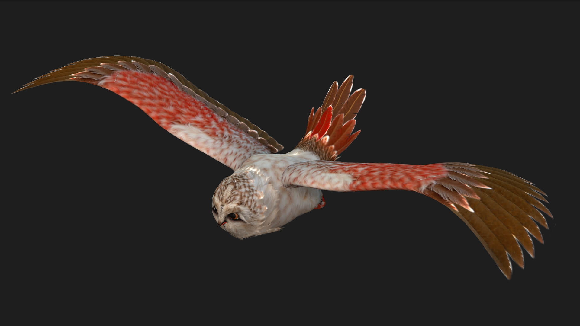 Owlbird A2 Animated - 3D Model by Animated3d