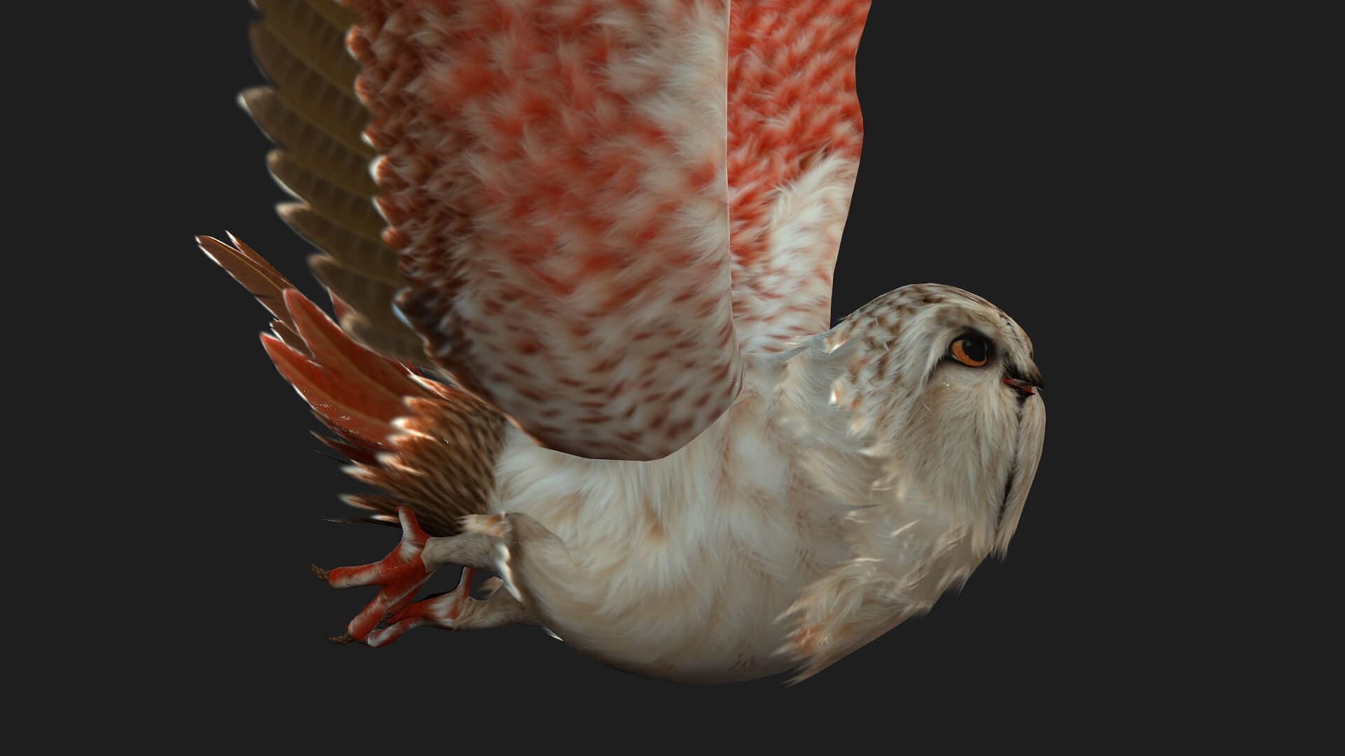 Owlbird A2 Animated - 3D Model by Animated3d