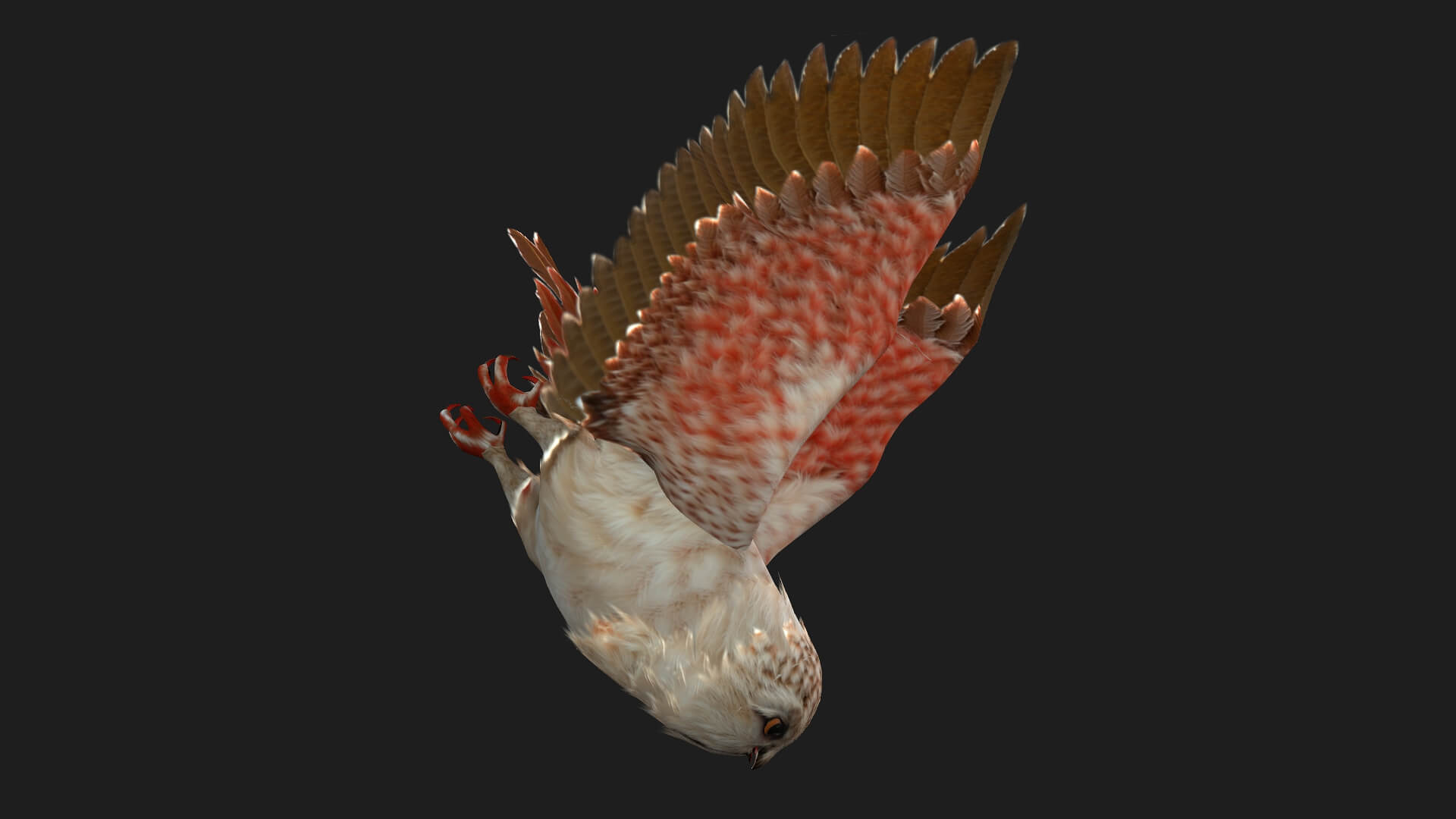 Owlbird A2 Animated - 3D Model by Animated3d