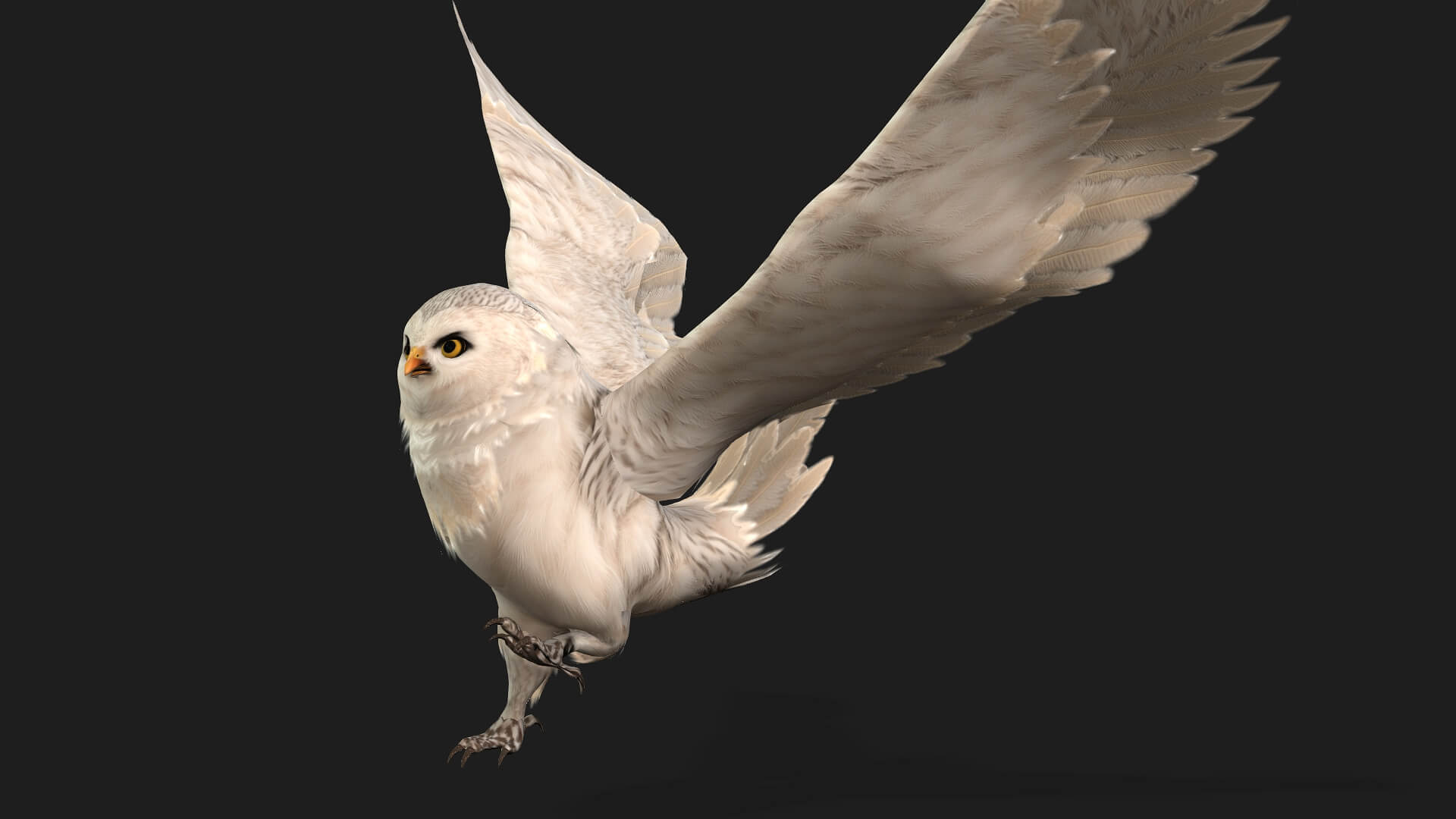 Owlbird A3 Animated - 3D Model by Animated3d