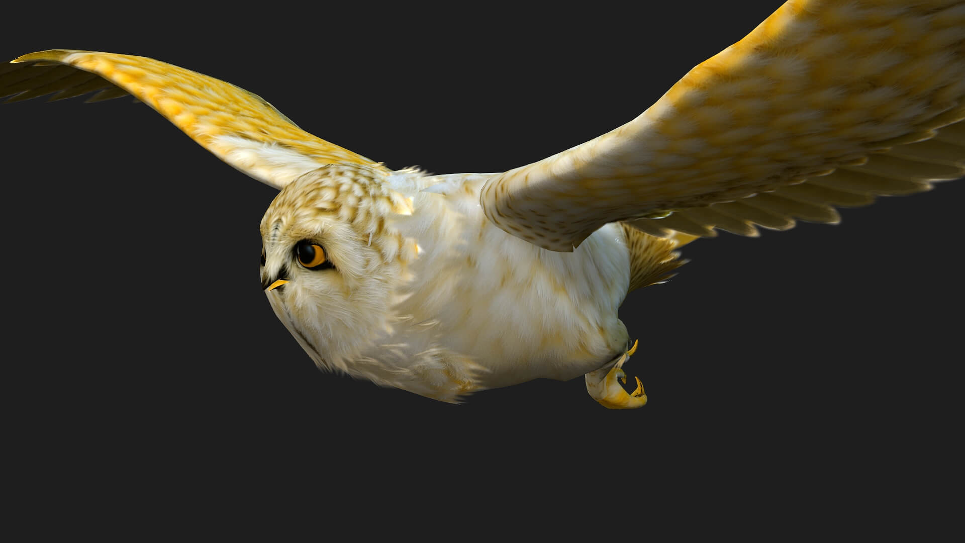Owlbird A4 Animated - 3D Model by Animated3d