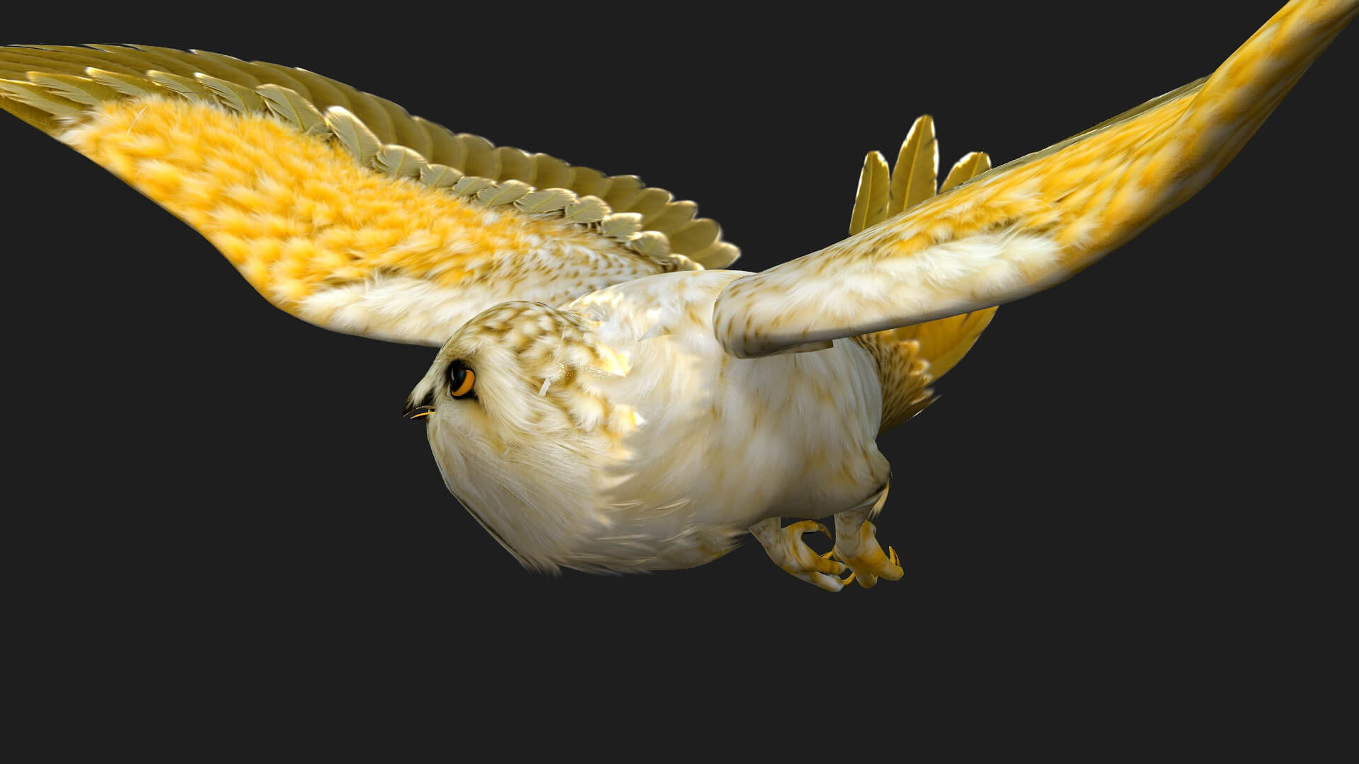Owlbird A4 Animated - 3D Model by Animated3d