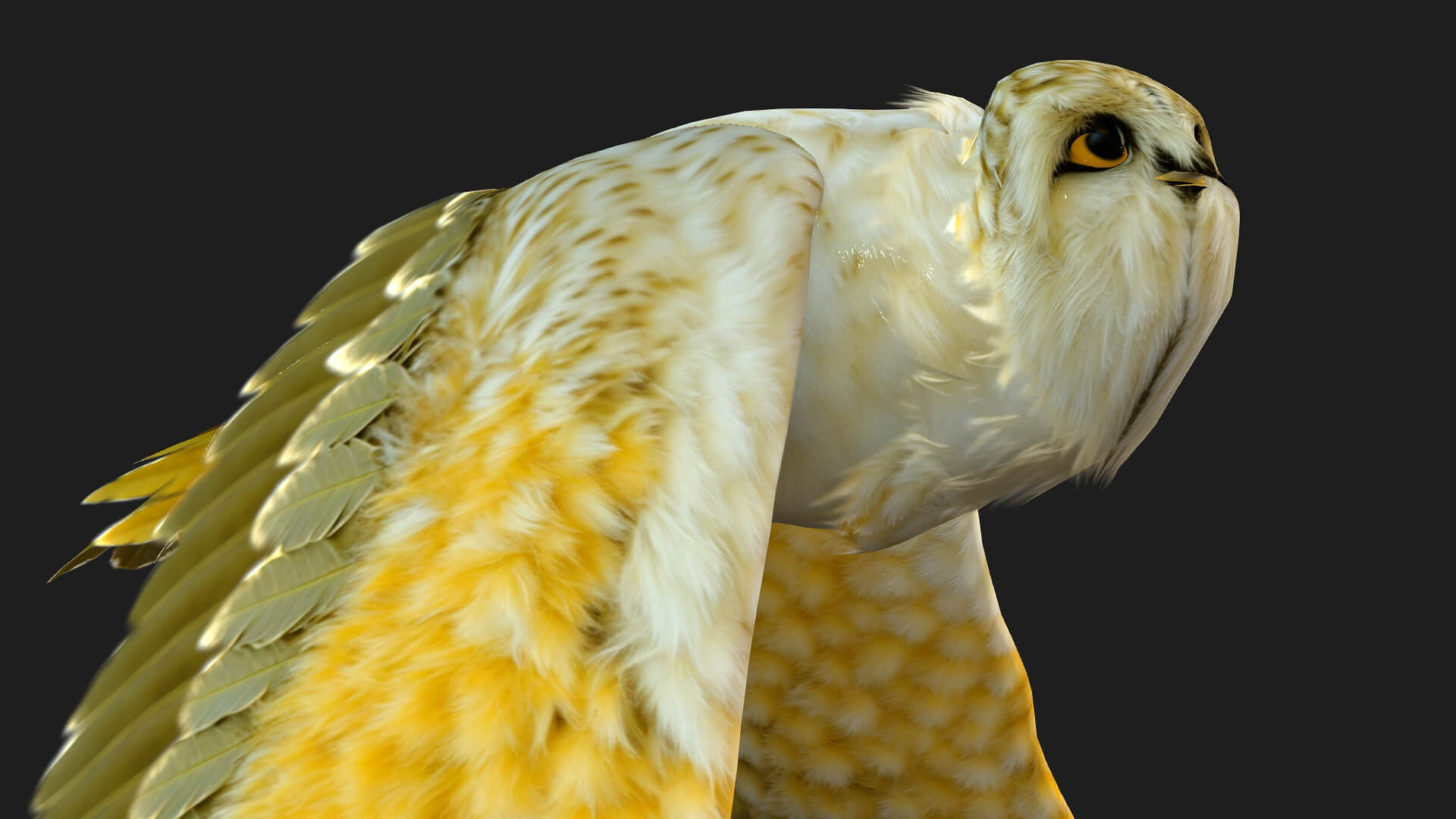 Owlbird A4 Animated - 3D Model by Animated3d