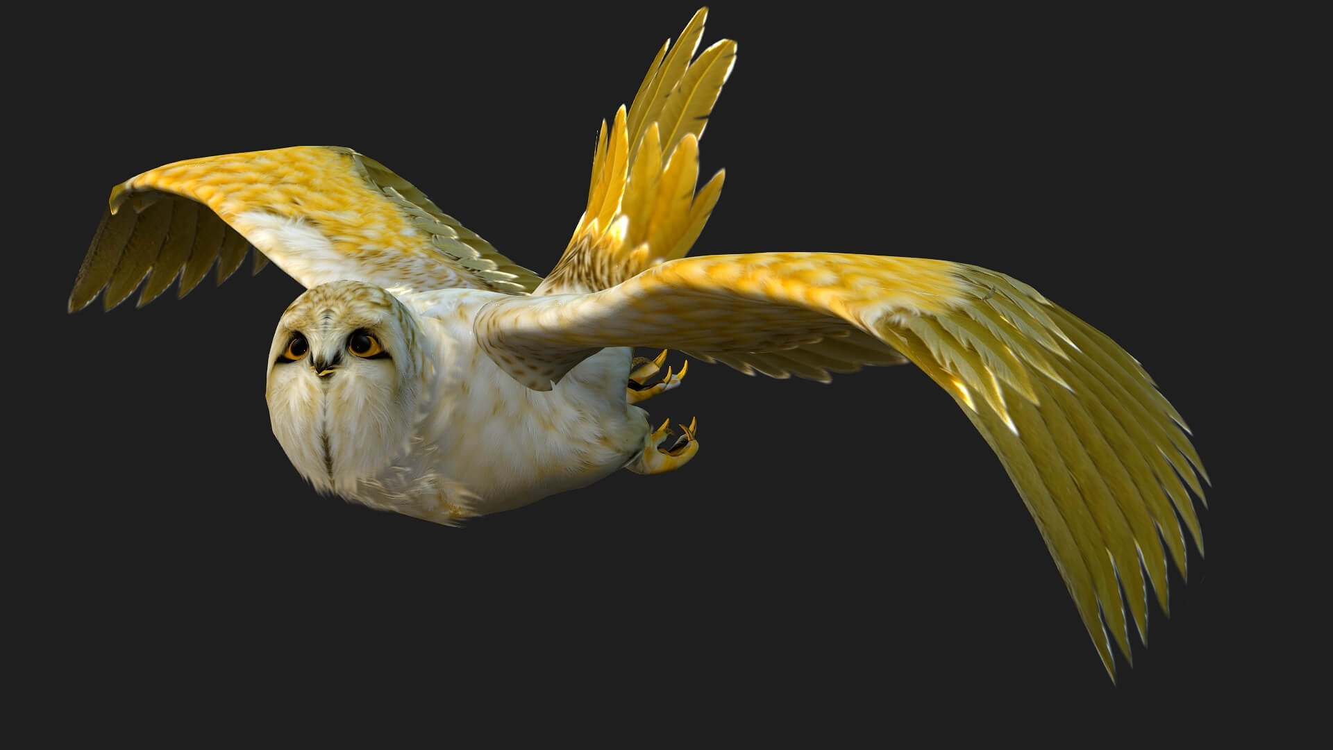 Owlbird A4 Animated - 3D Model by Animated3d