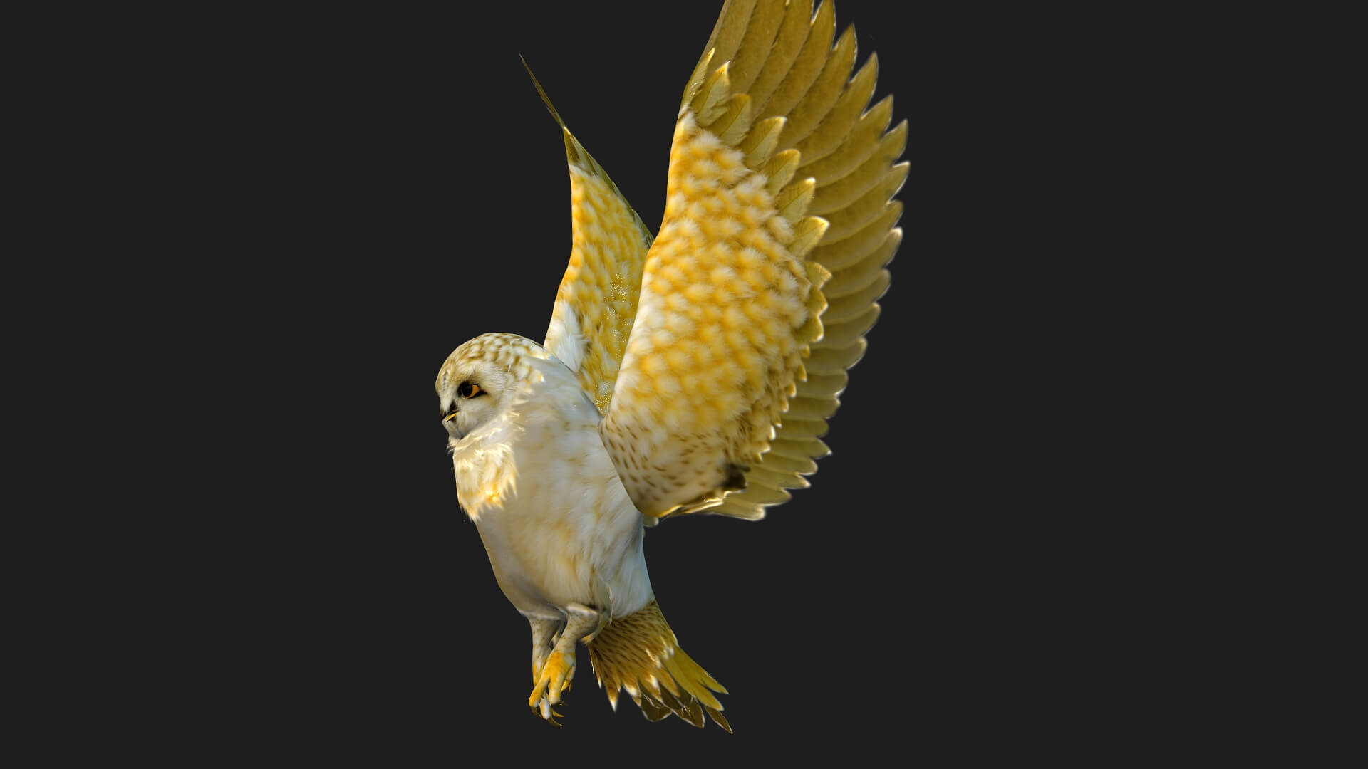 Owlbird A4 Animated - 3D Model by Animated3d