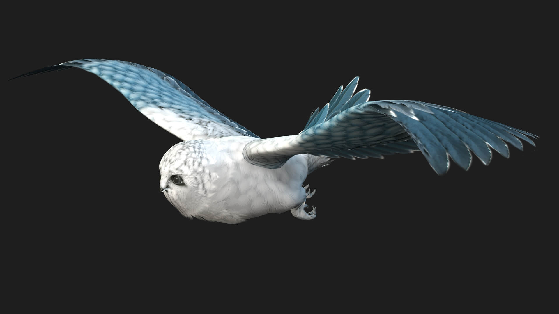 Owlbird A5 Animated - 3D Model by Animated3d