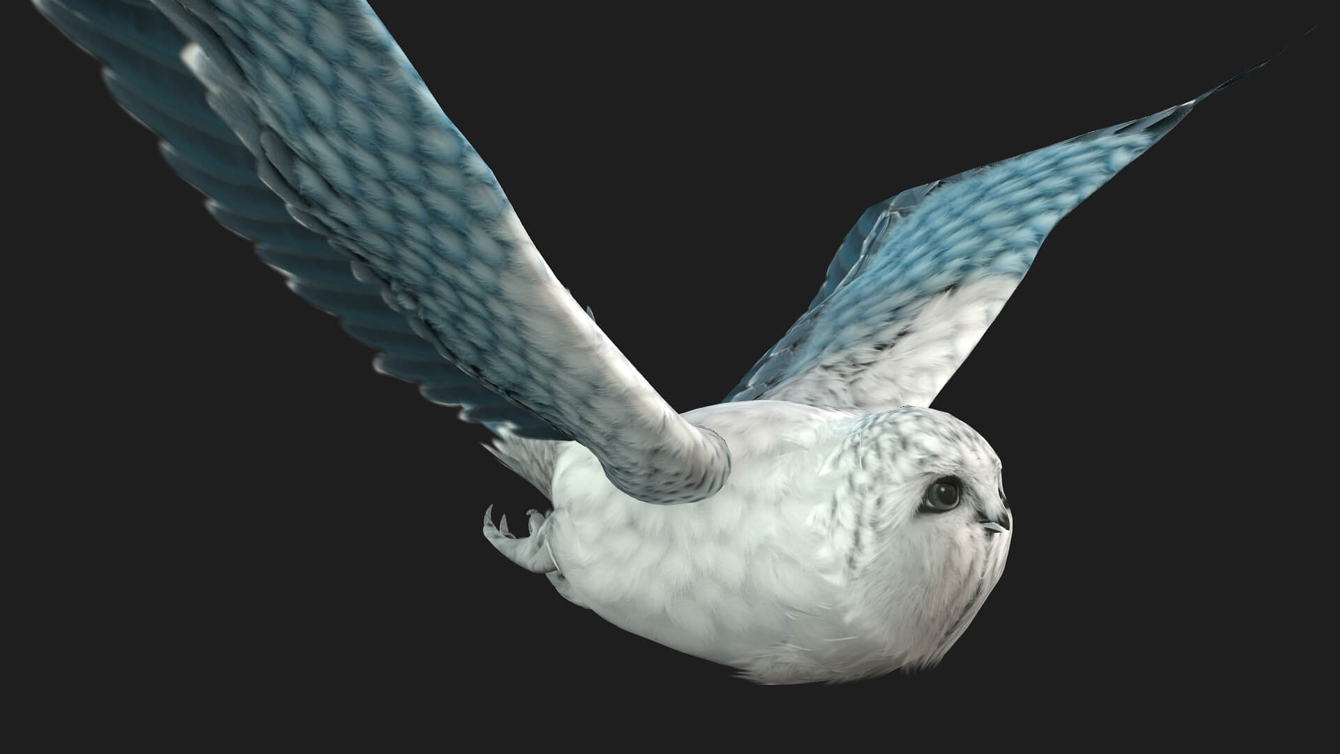 Owlbird A5 Animated - 3D Model by Animated3d