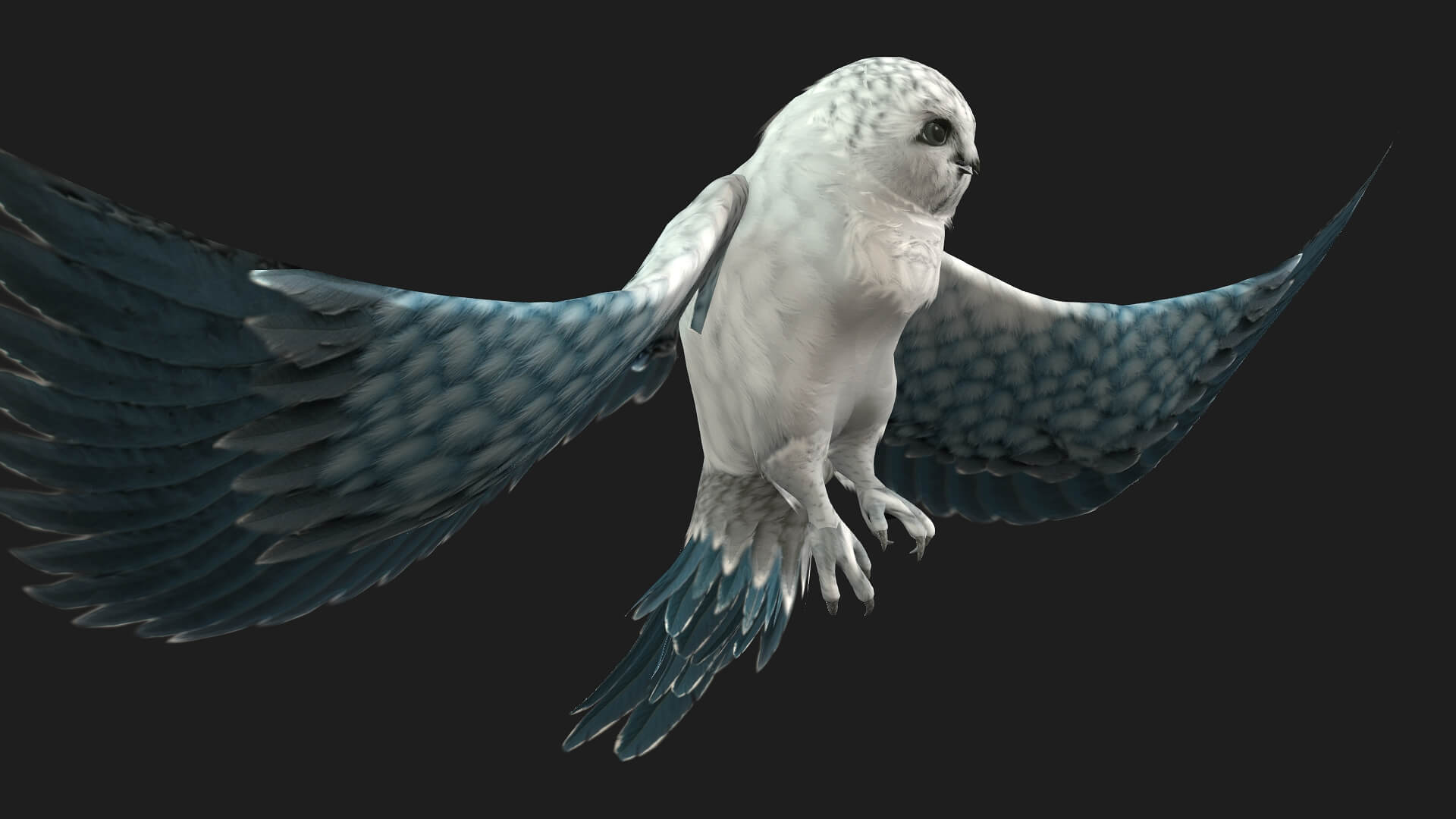Owlbird A5 Animated - 3D Model by Animated3d