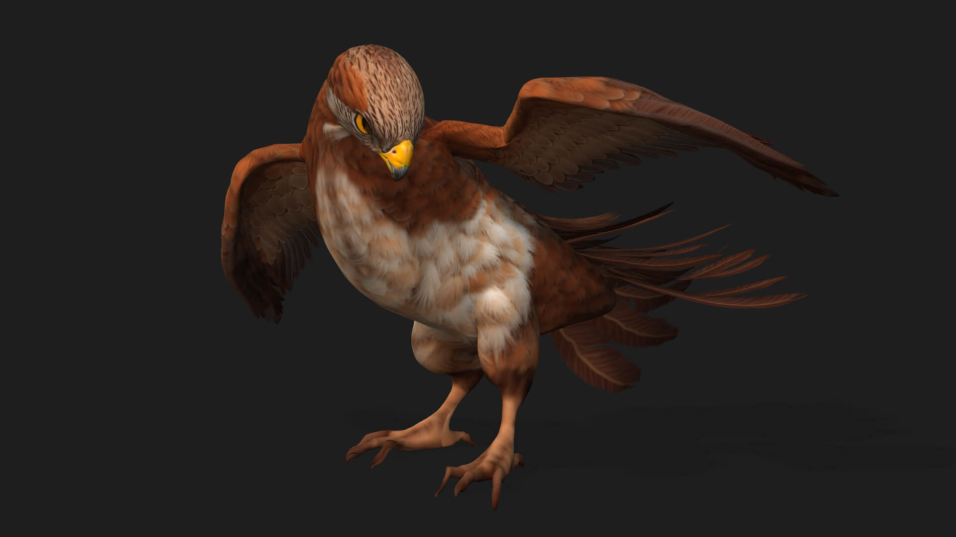 Pack-01-Bird Family 3D Animation by Animated3d