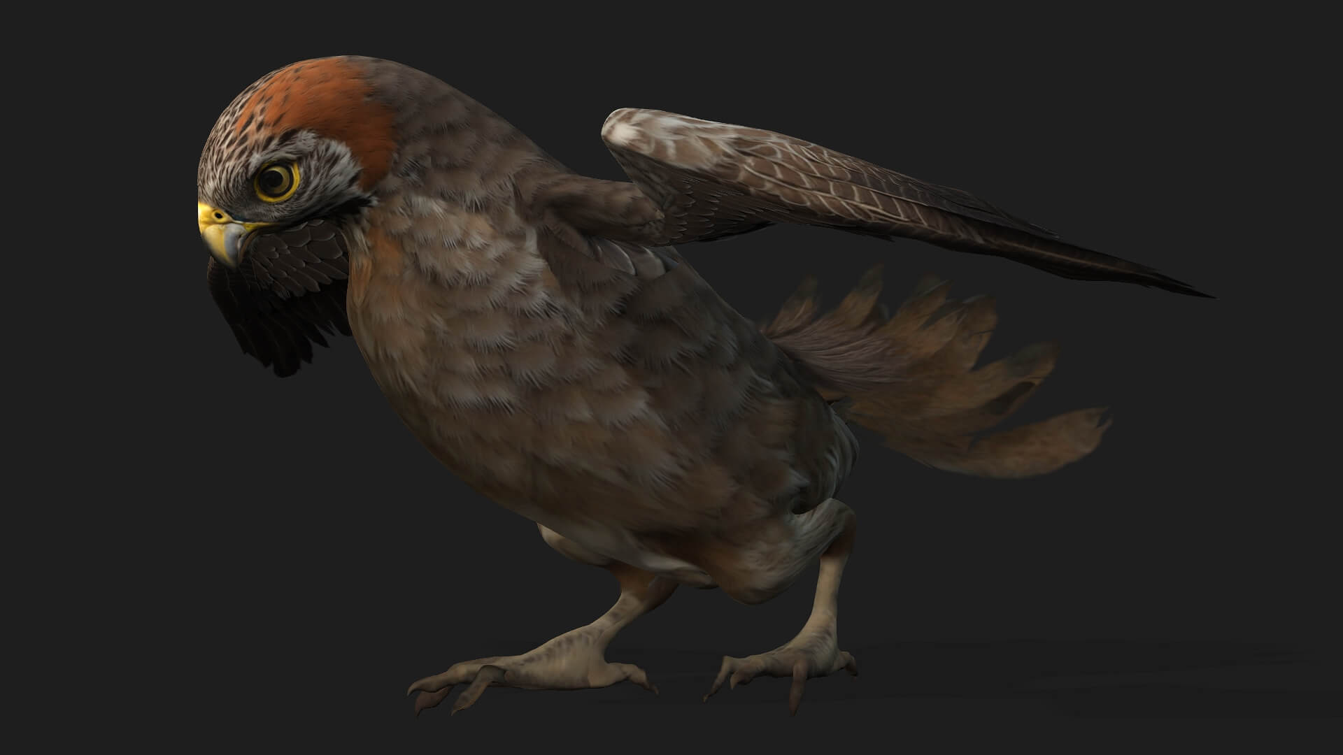 Pack-01-Bird Family 3D Animation by Animated3d