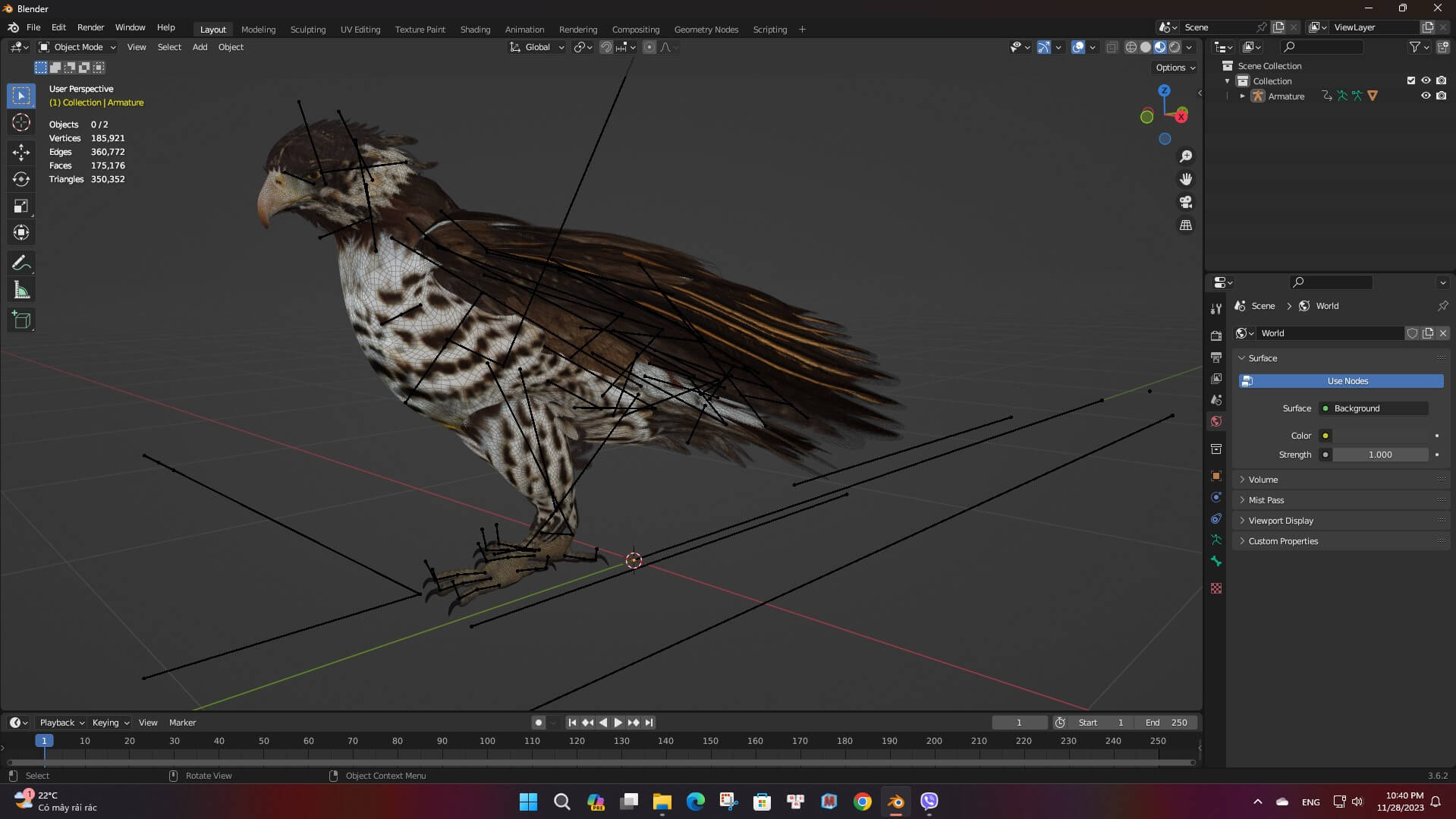 Pack-03-Bird Family 3D Animation by Animated3d