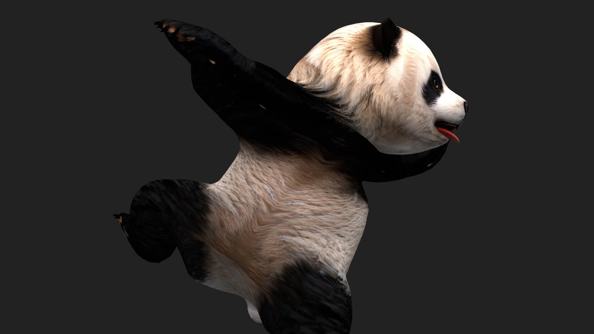 Panda A1 Animated - 3D Model by Animated3d