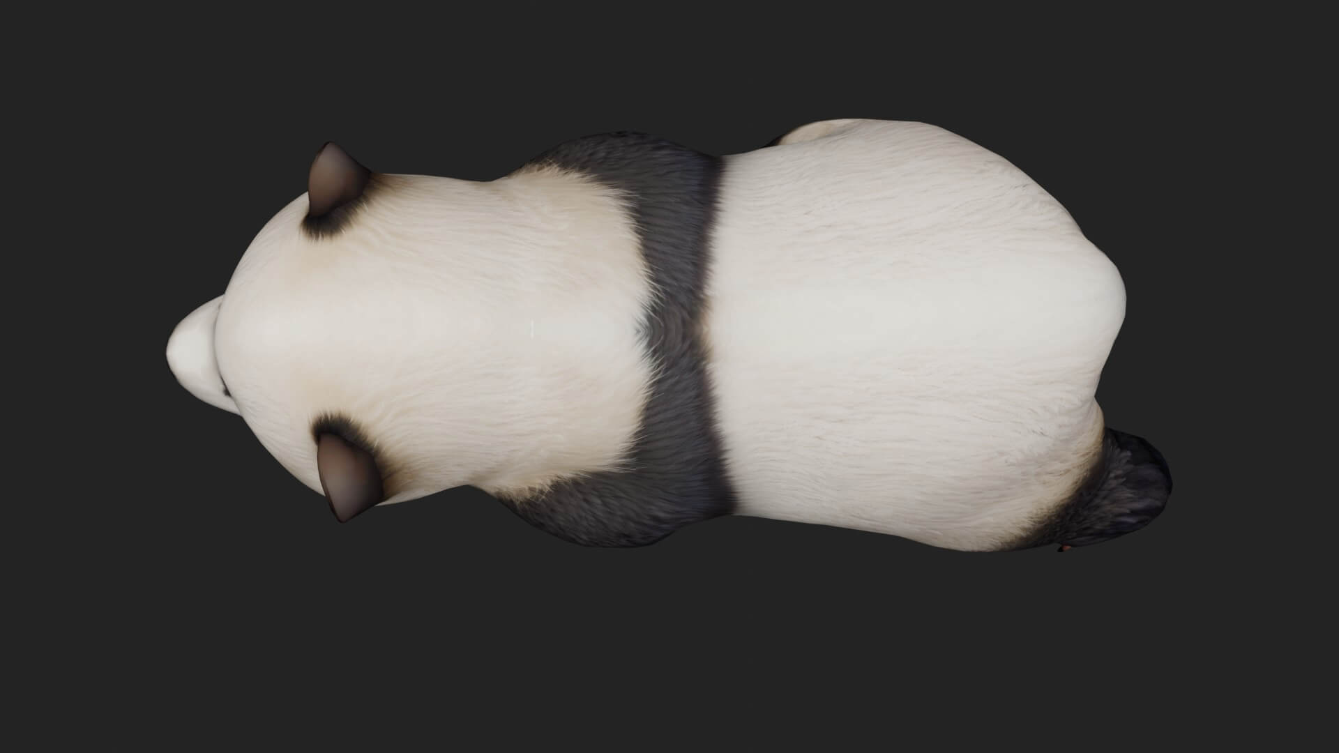 Panda A2 Animated - 3D Model by Animated3d